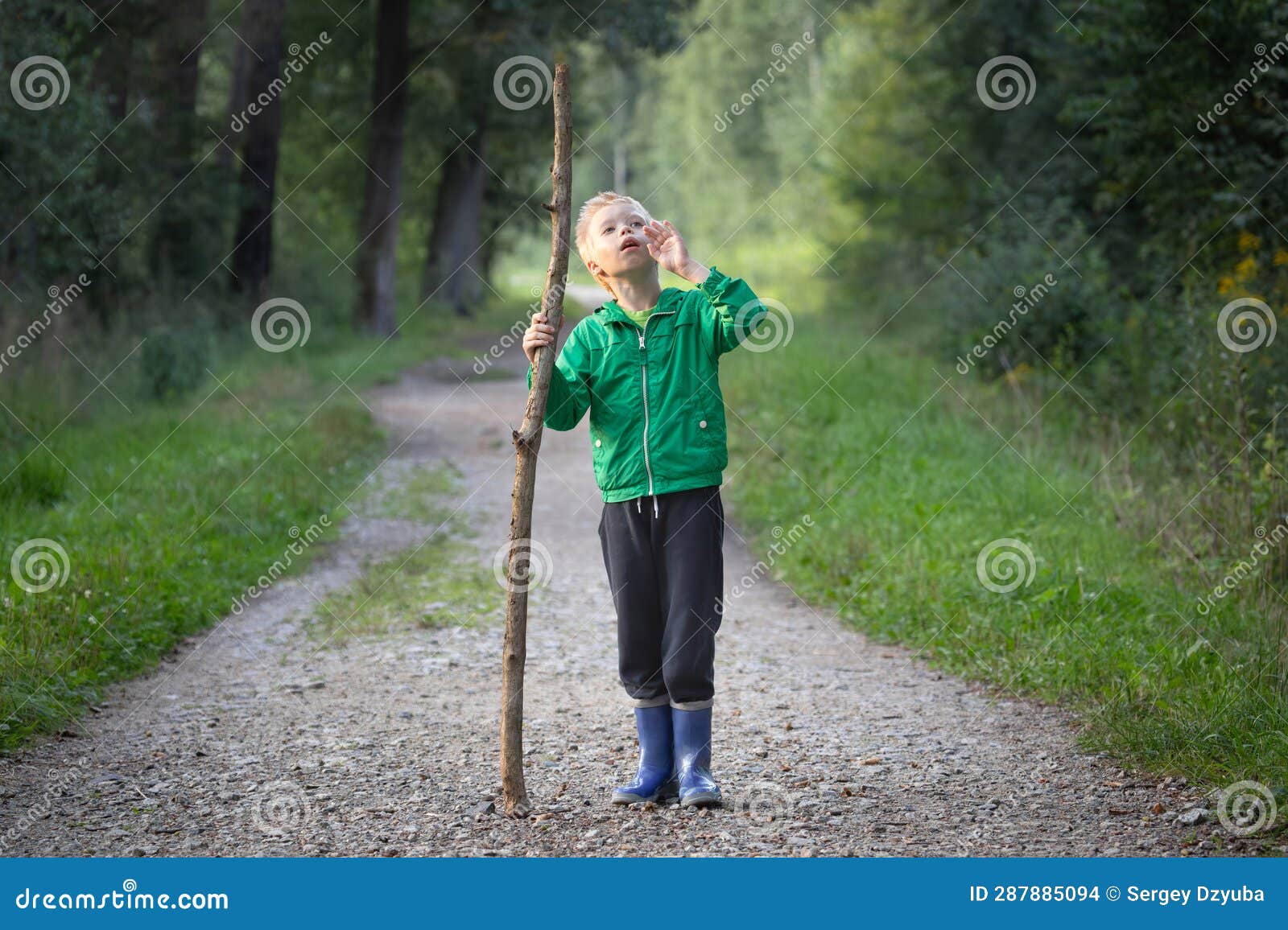 A Boy is Lost in the Forest Stock Photo - Image of young, child: 287885094