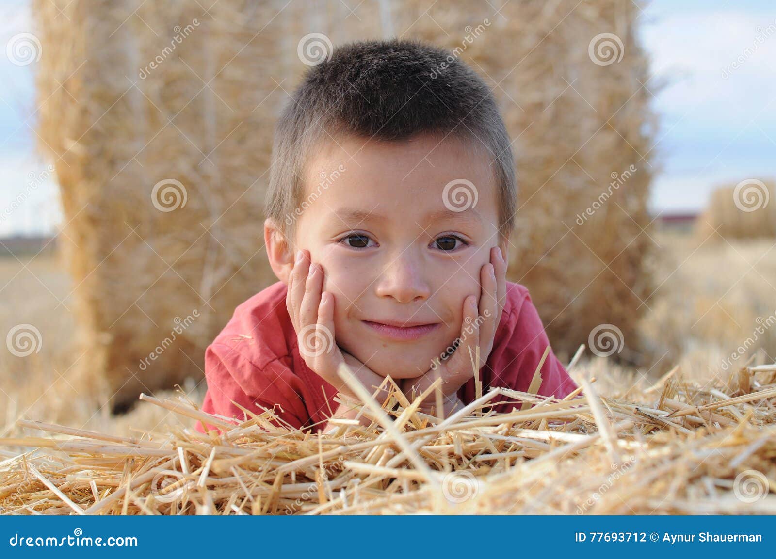 Boy Lying on the Stack of Hay Stock Photo - Image of fall, movement ...