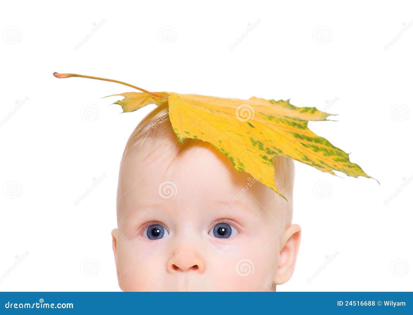 The Boy with a Maple Leaf on the Head Stock Photo - Image of leaf ...