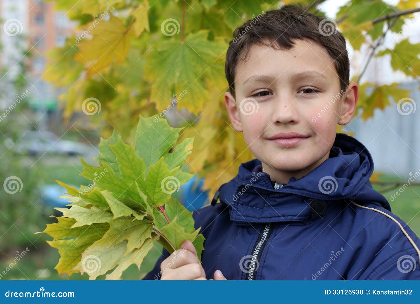 Boy with maple leaf stock photo. Image of caucasian, environment - 33126930