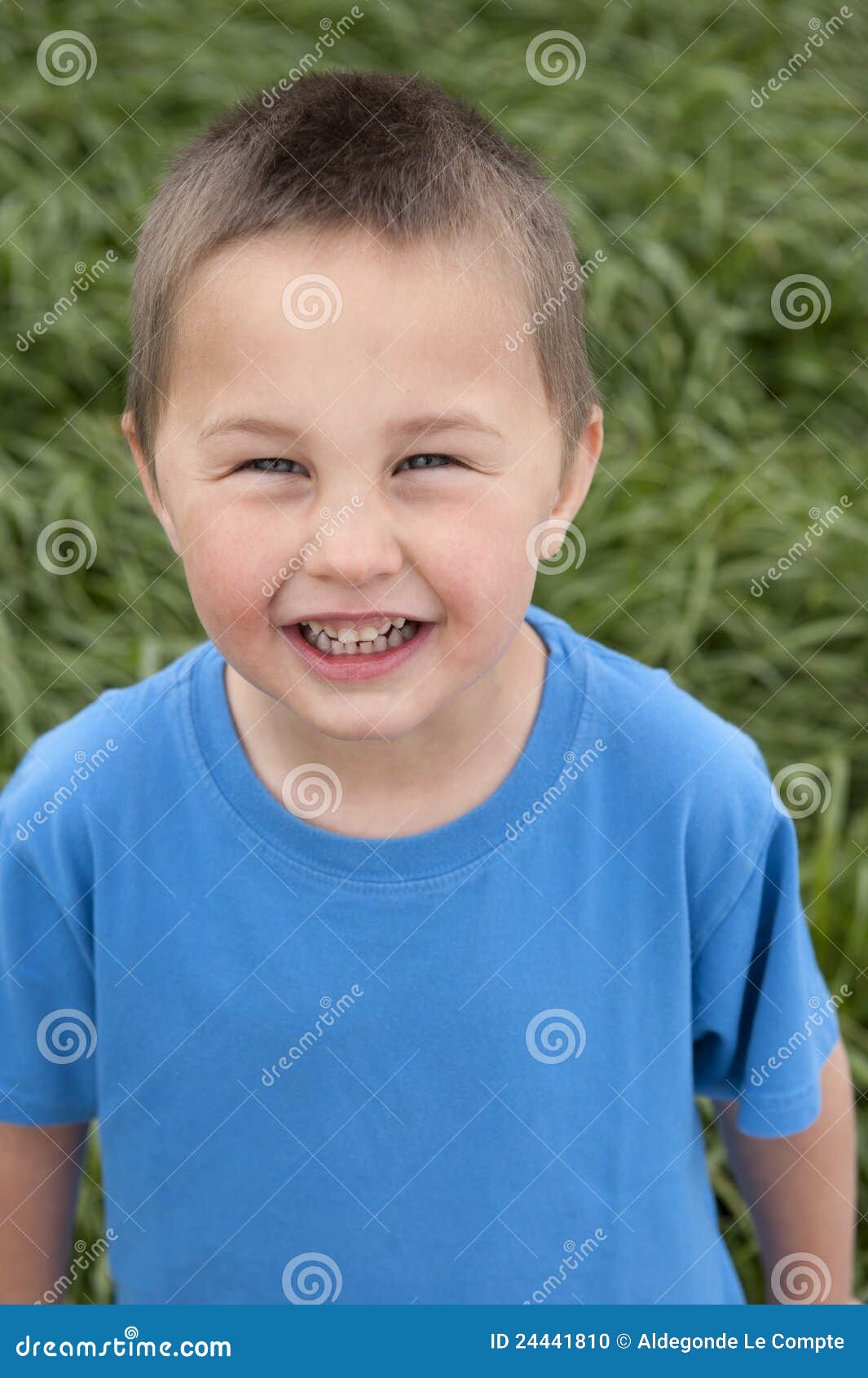 Boy in meadow stock photo. Image of oudoors, grass, little - 24441810