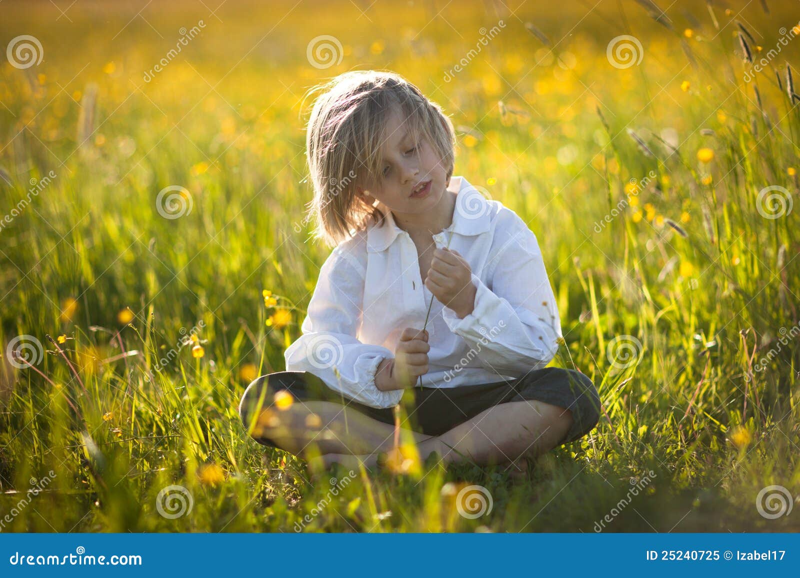 Boy on meadow stock image. Image of emotions, smille - 25240725