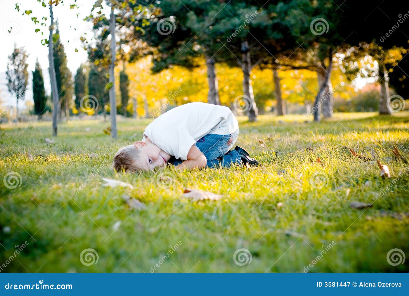 Boy on meadow stock image. Image of happiness, freedom - 3581447