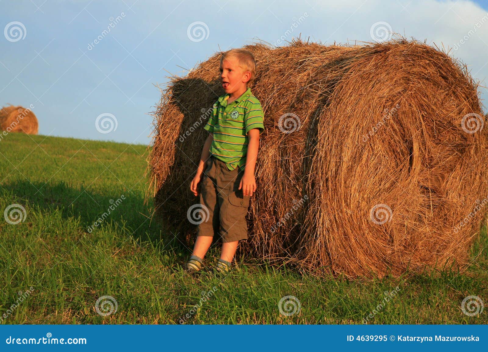 Boy on meadow stock image. Image of faithful, happiness - 4639295