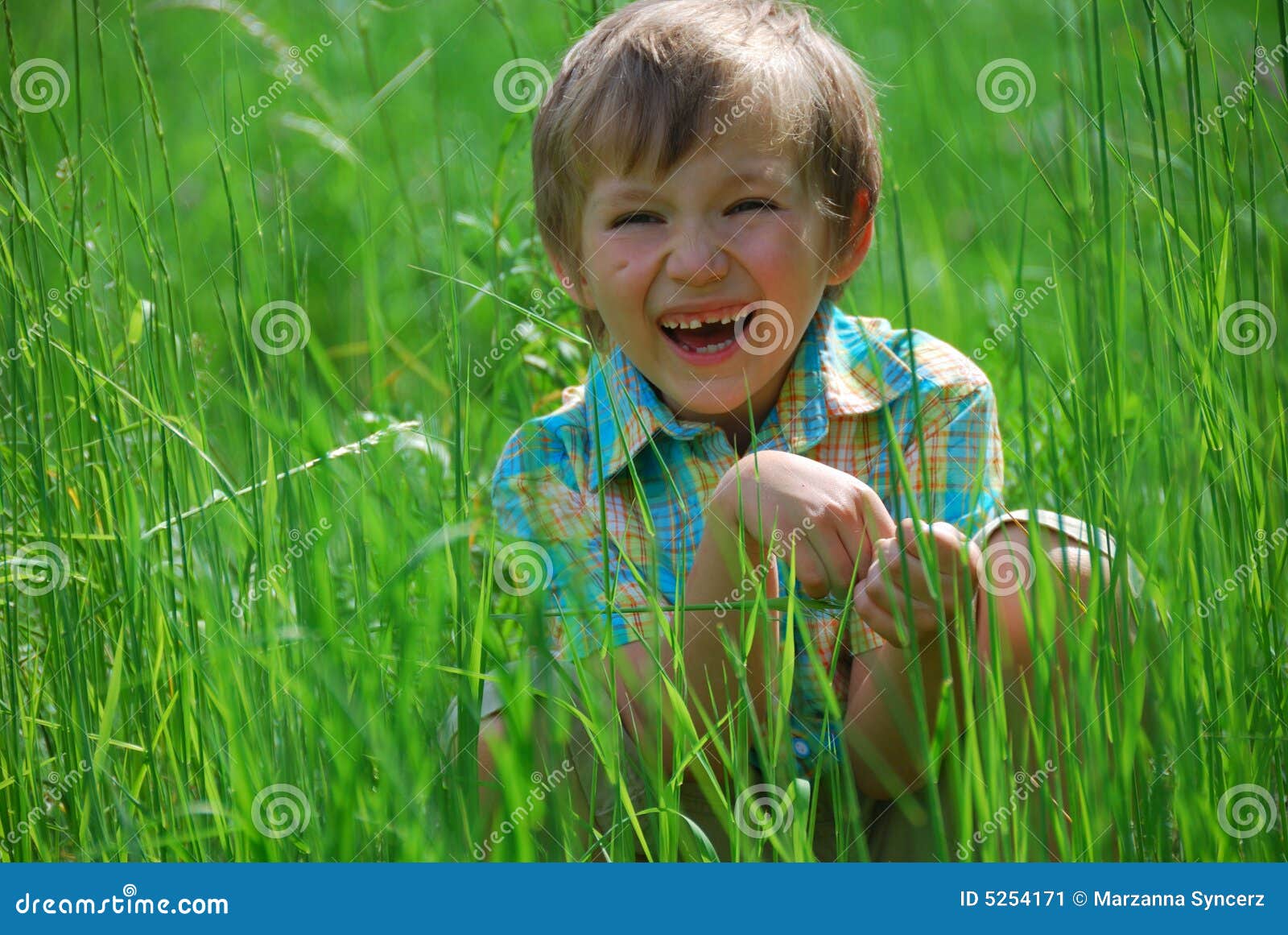 Boy in Meadow stock image. Image of outdoor, smiling, male - 5254171