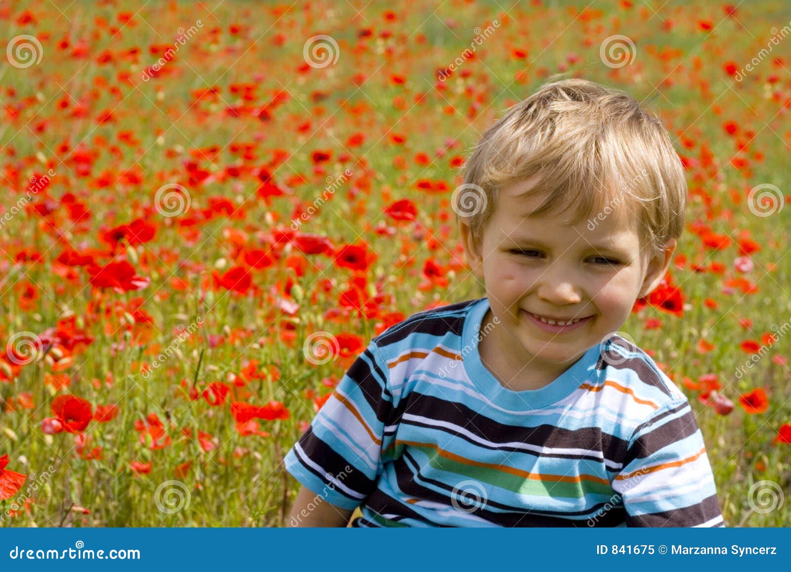 Boy on meadow stock image. Image of children, hearted, field - 841675