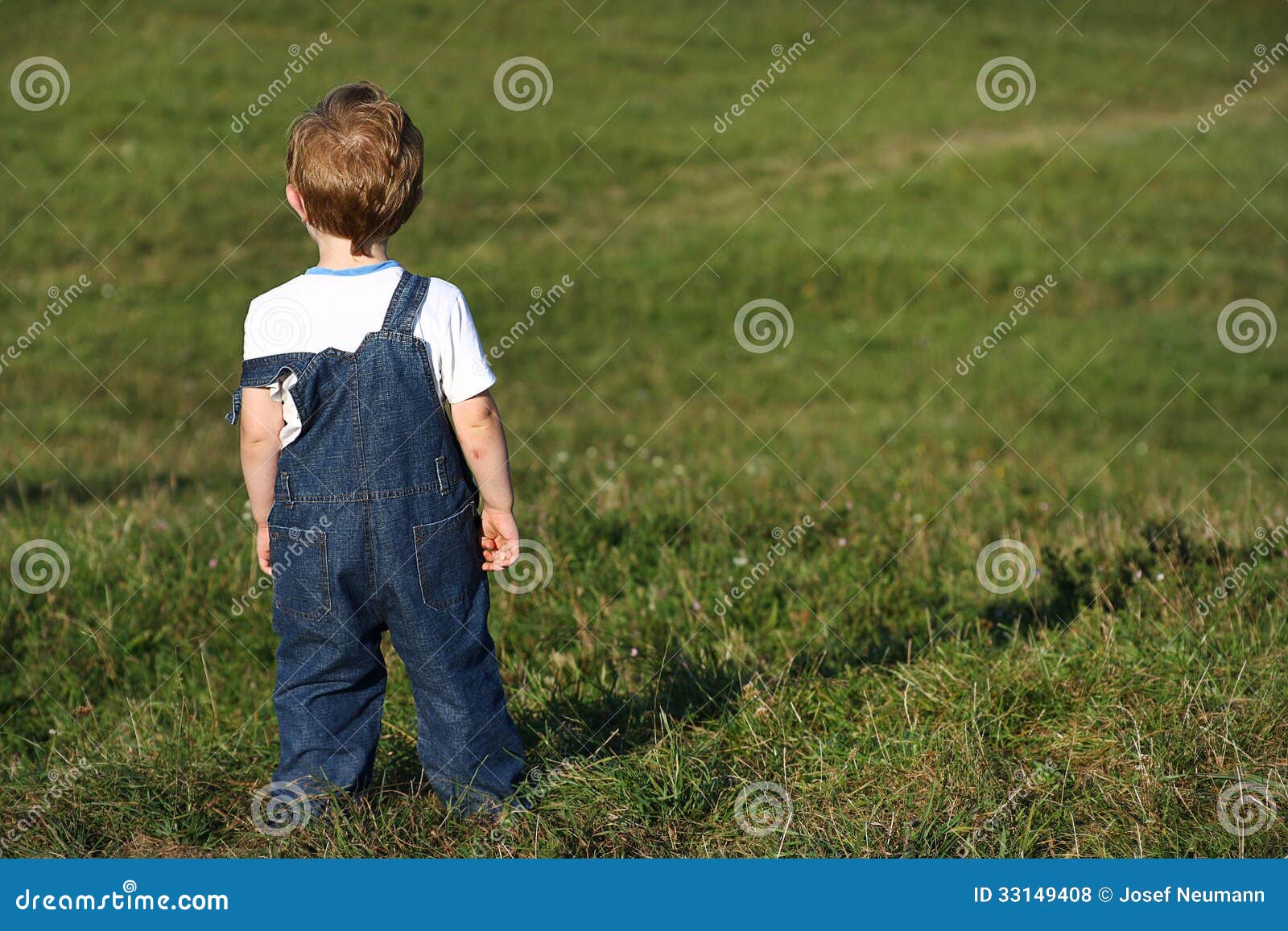 Boy on meadow stock photo. Image of nice, green, grass - 33149408