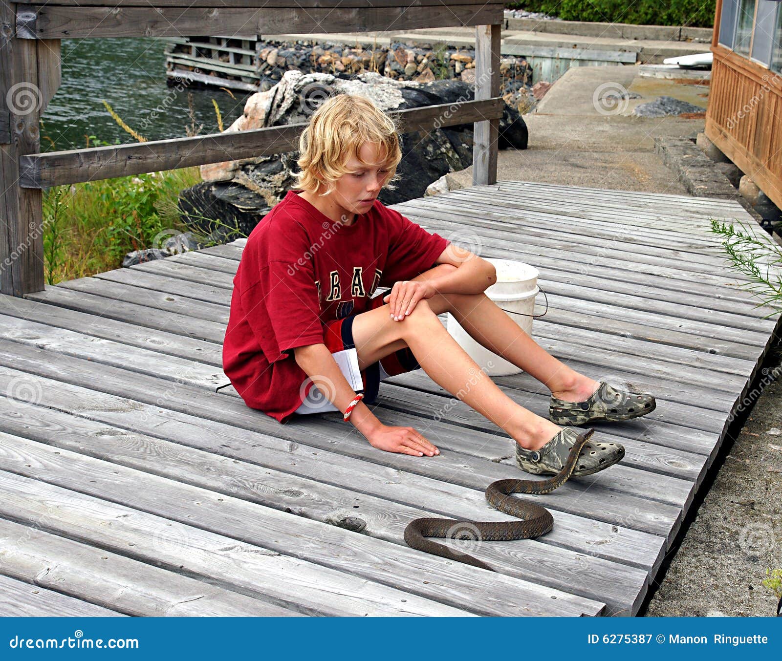 Boy meets Snake stock image. Image of rocky, scary, surprise - 6275387