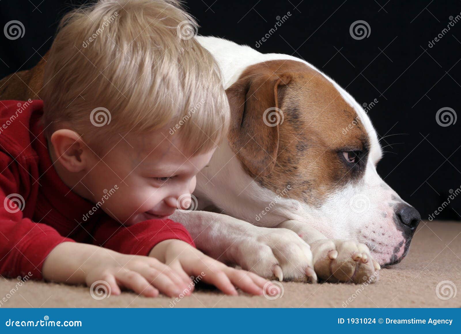 Boy mimics dog stock photo. Image of bulldog, floor, puppy - 1931024