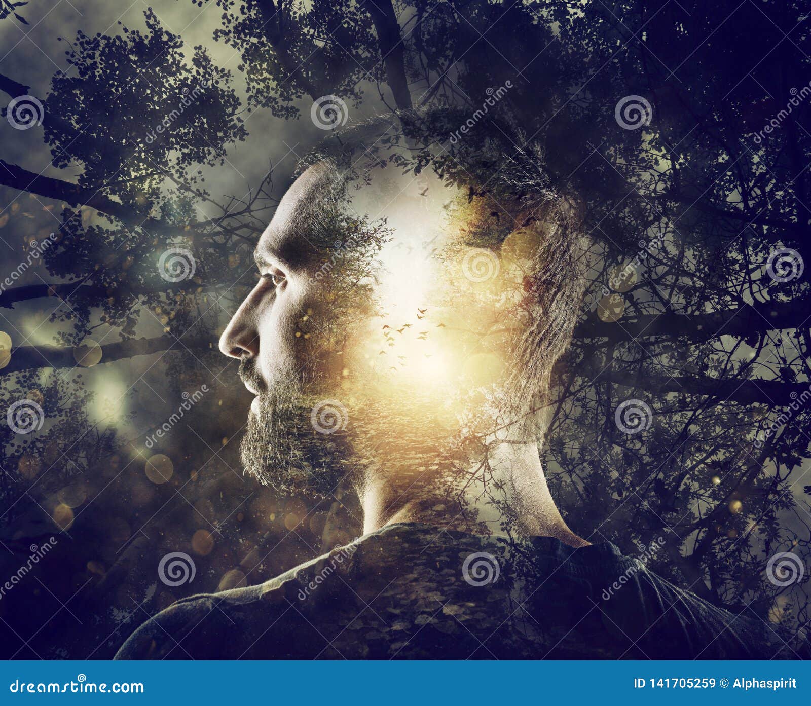 Boy with a Mystical Forest in Mind. Double Exposure Stock Image - Image ...
