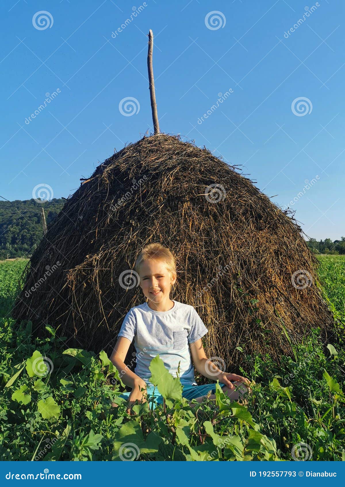 Boy in the nature stock image. Image of plant, agriculture - 192557793