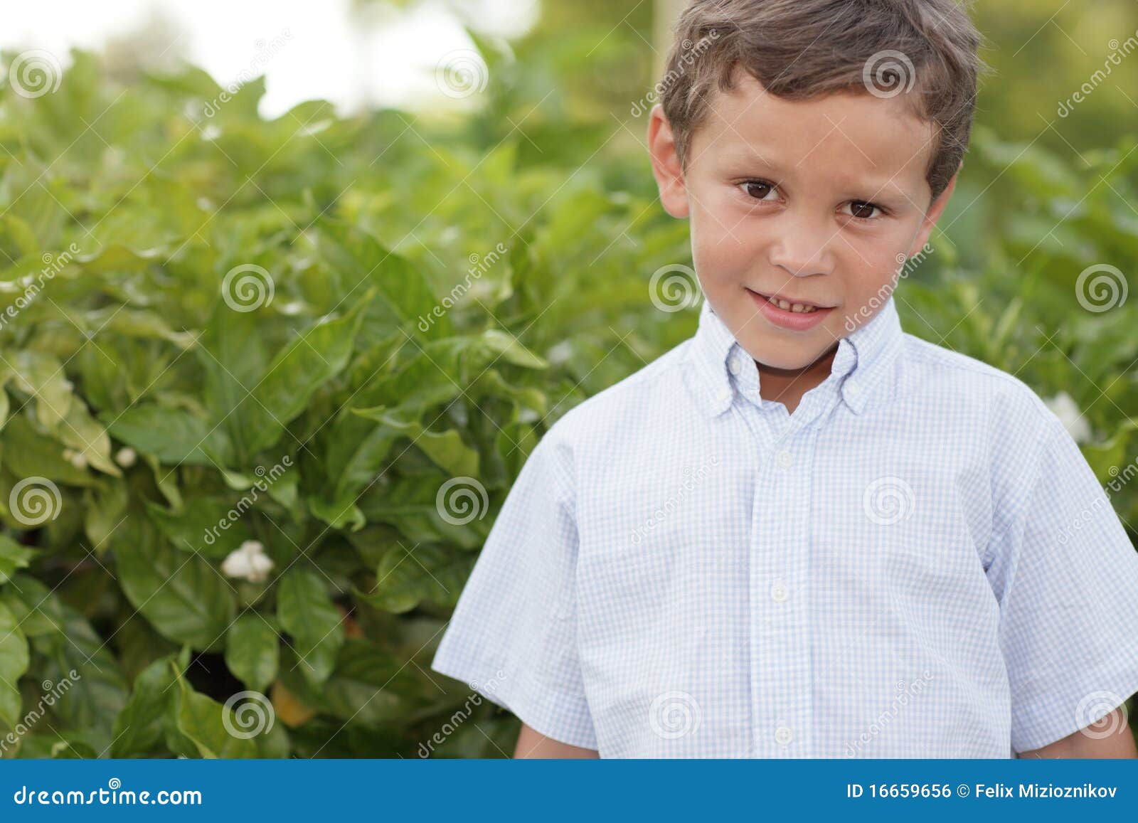 Boy in a nature setting stock photo. Image of nature - 16659656