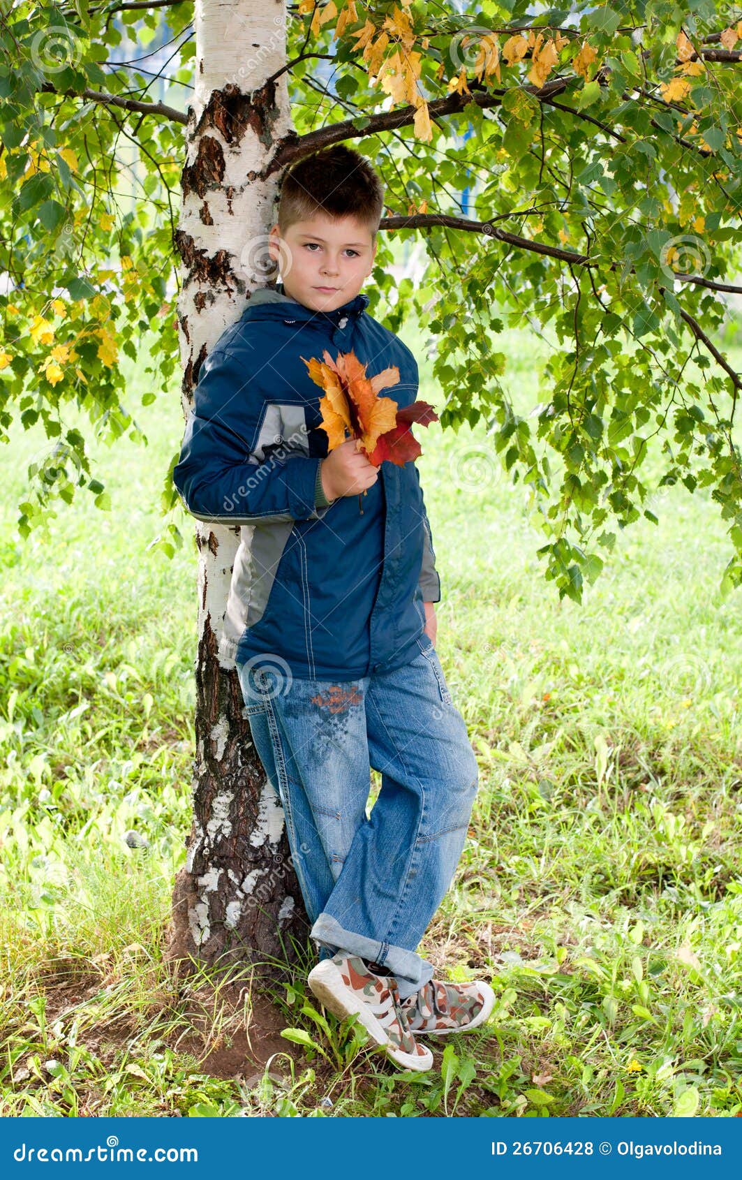 Boy near tree in the park stock photo. Image of caucasian - 26706428
