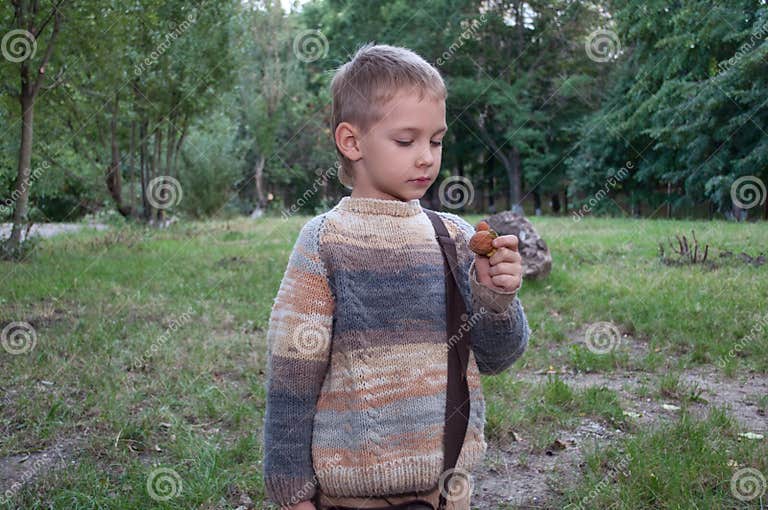 Boy with a nut stock image. Image of male, happy, park - 35359643