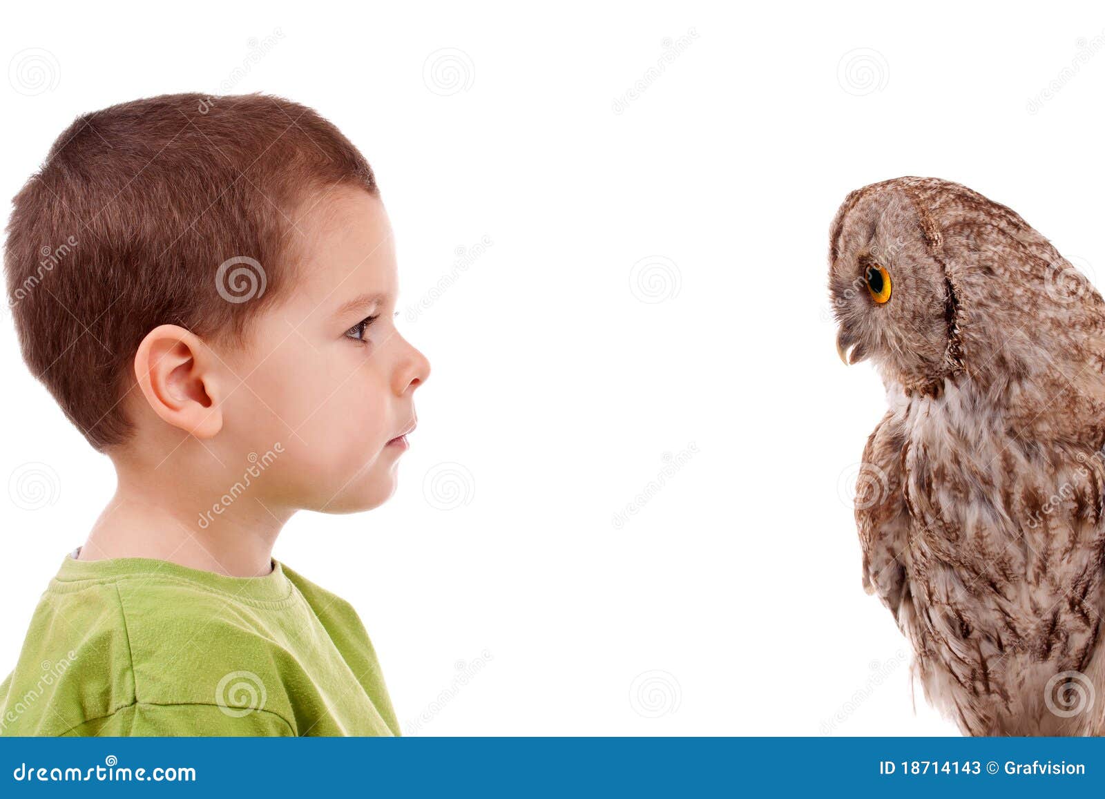 Boy observing owl stock image. Image of child, baby, vertical - 18714143