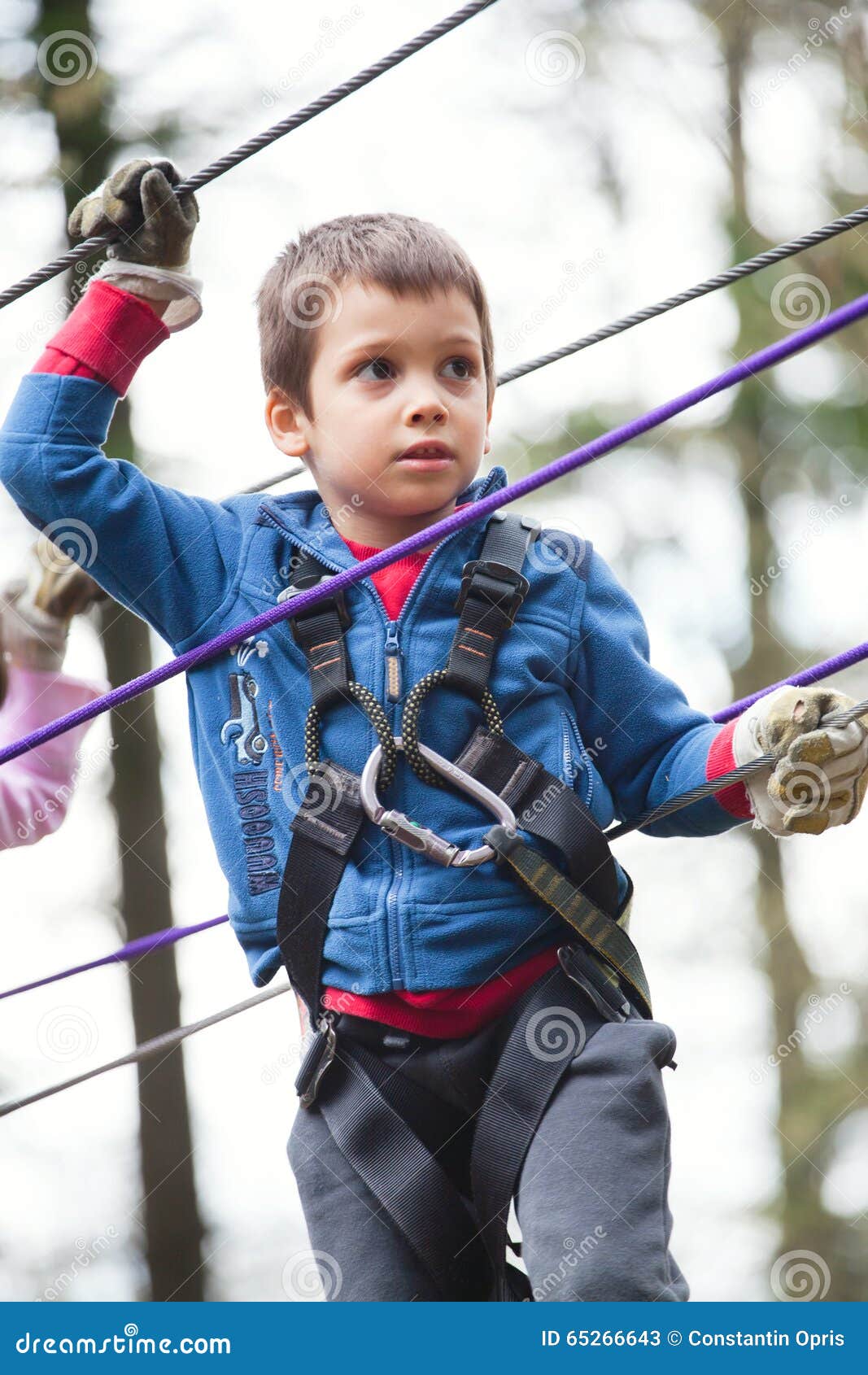 Boy on Obstacle in Adventure Park Stock Image - Image of expression ...