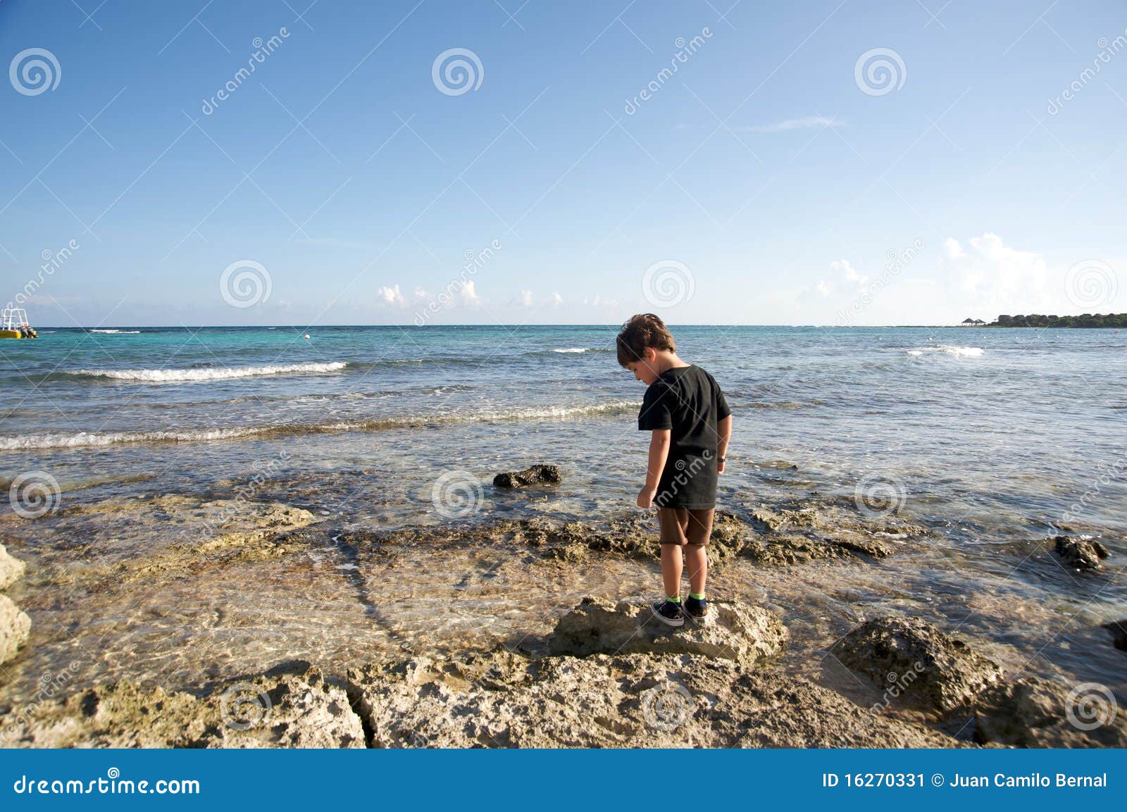 Boy by the ocean stock image. Image of blue, toddler - 16270331