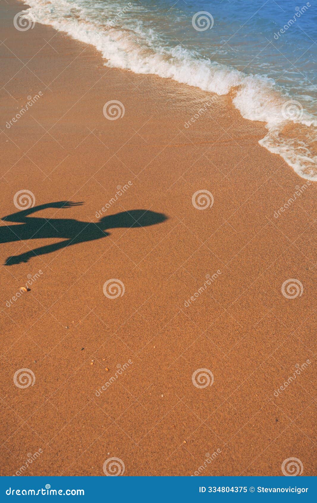 Shadow On The Seaside Sand: A Harmony Of Light, Waves, And Natural ...