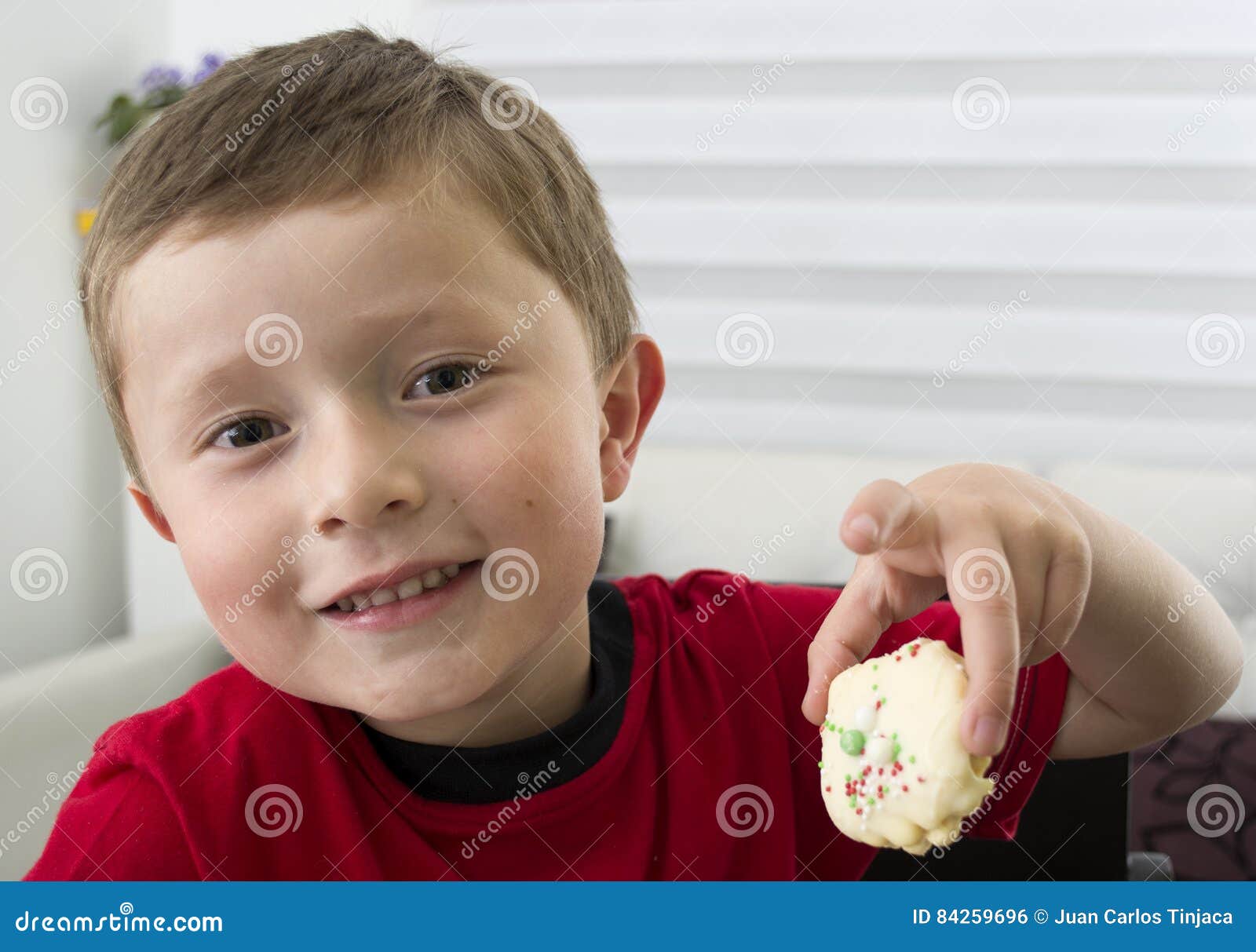 Boy Offering You a Chocolate Cookie. Stock Photo - Image of sweet ...