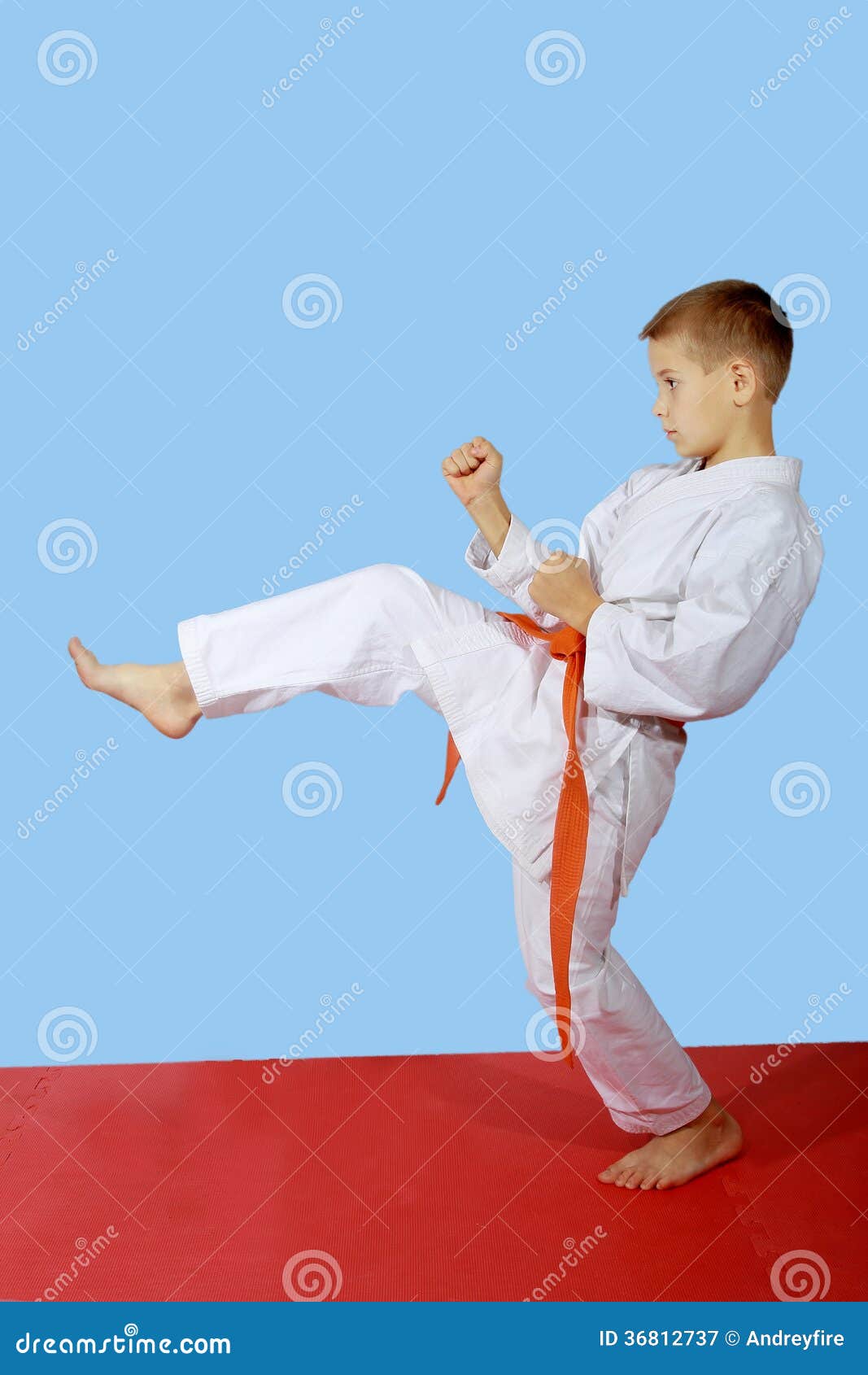 Boy with Orange Belt Beat Kick Leg Stock Image - Image of karate ...