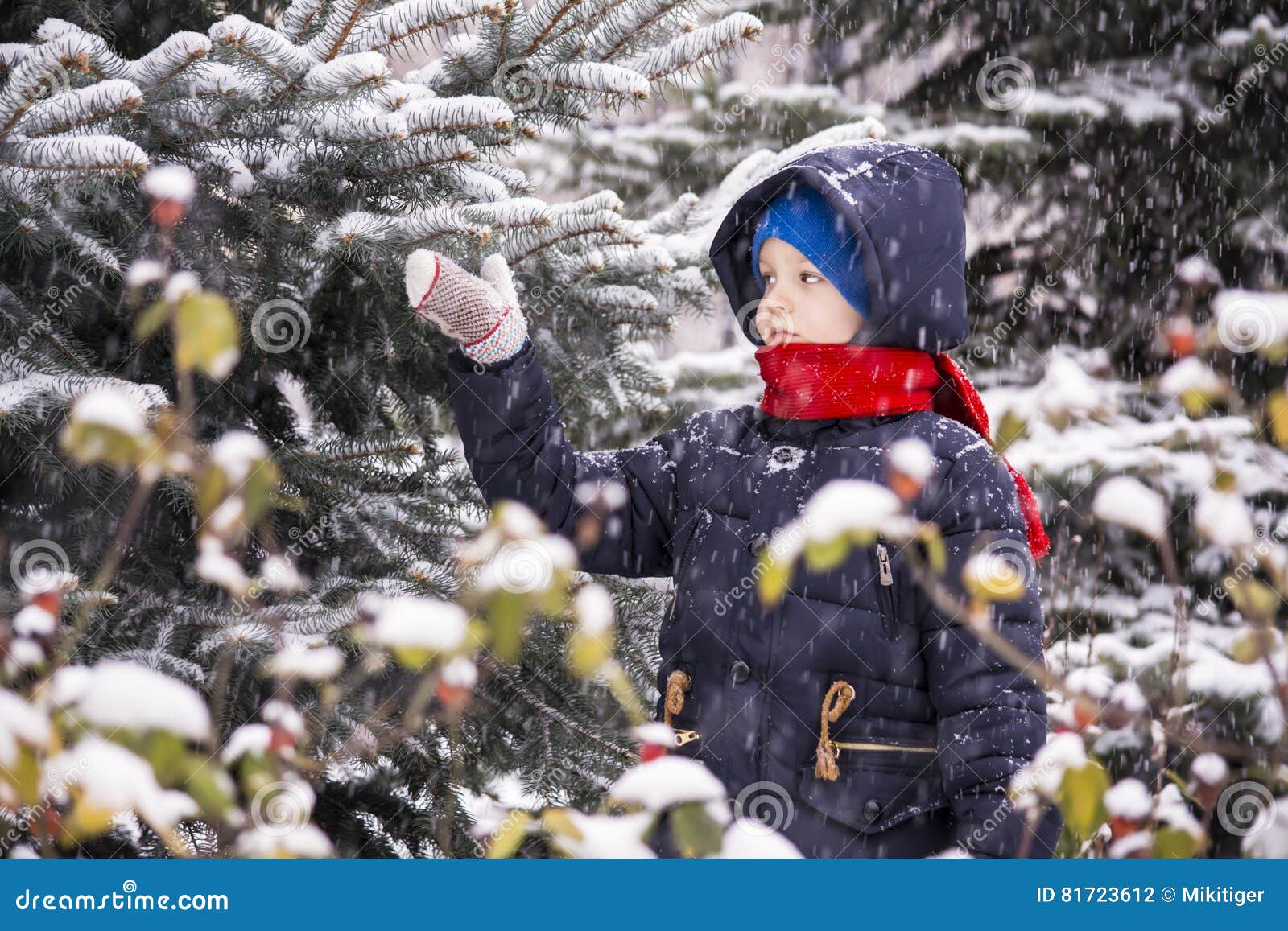 Boy outdoors in the winter stock photo. Image of blue - 81723612