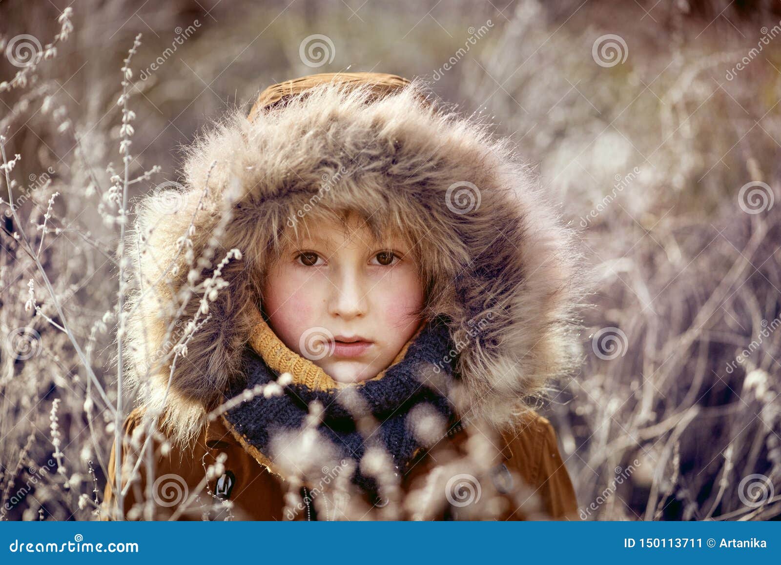 Boy Outdoors Winter Portrait Stock Image - Image of nature, cold: 150113711