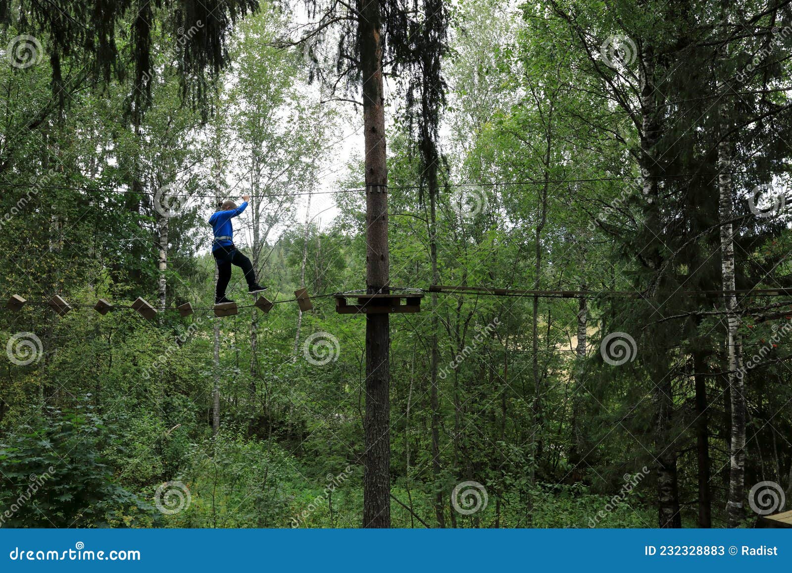 Boy Overcomes Obstacle Course in Forest Stock Image - Image of balance ...