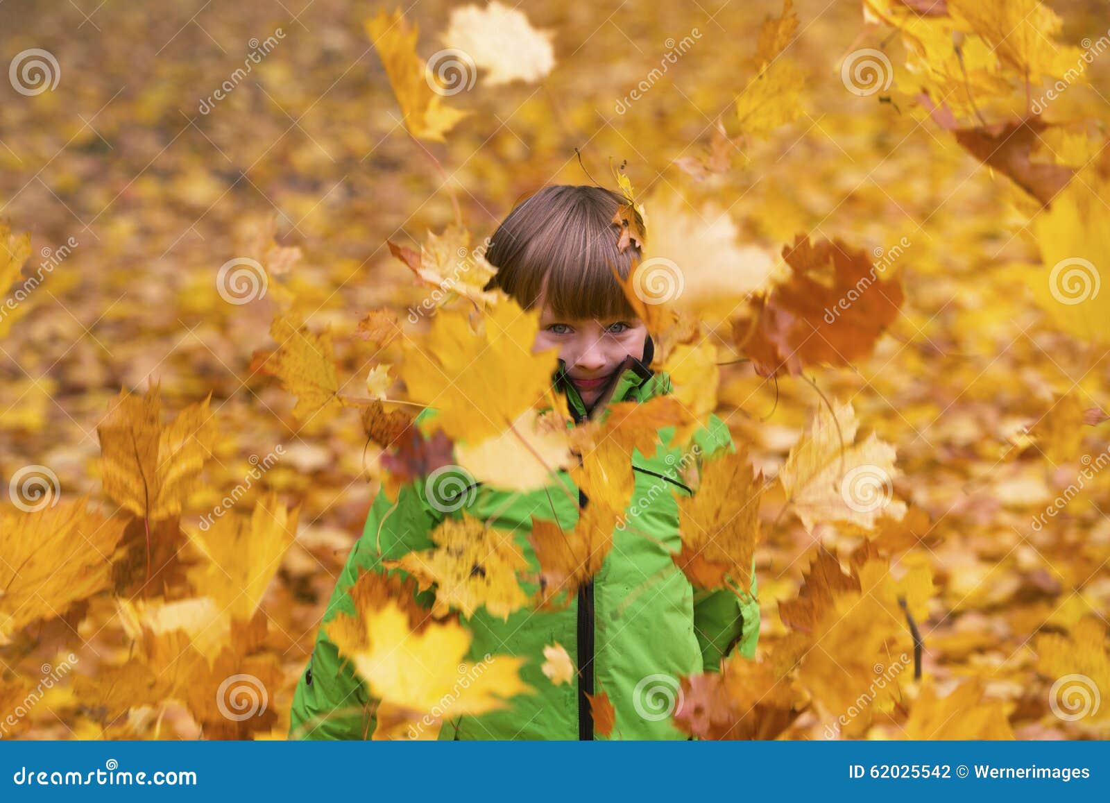 Boy in park in the fall stock photo. Image of november - 62025542