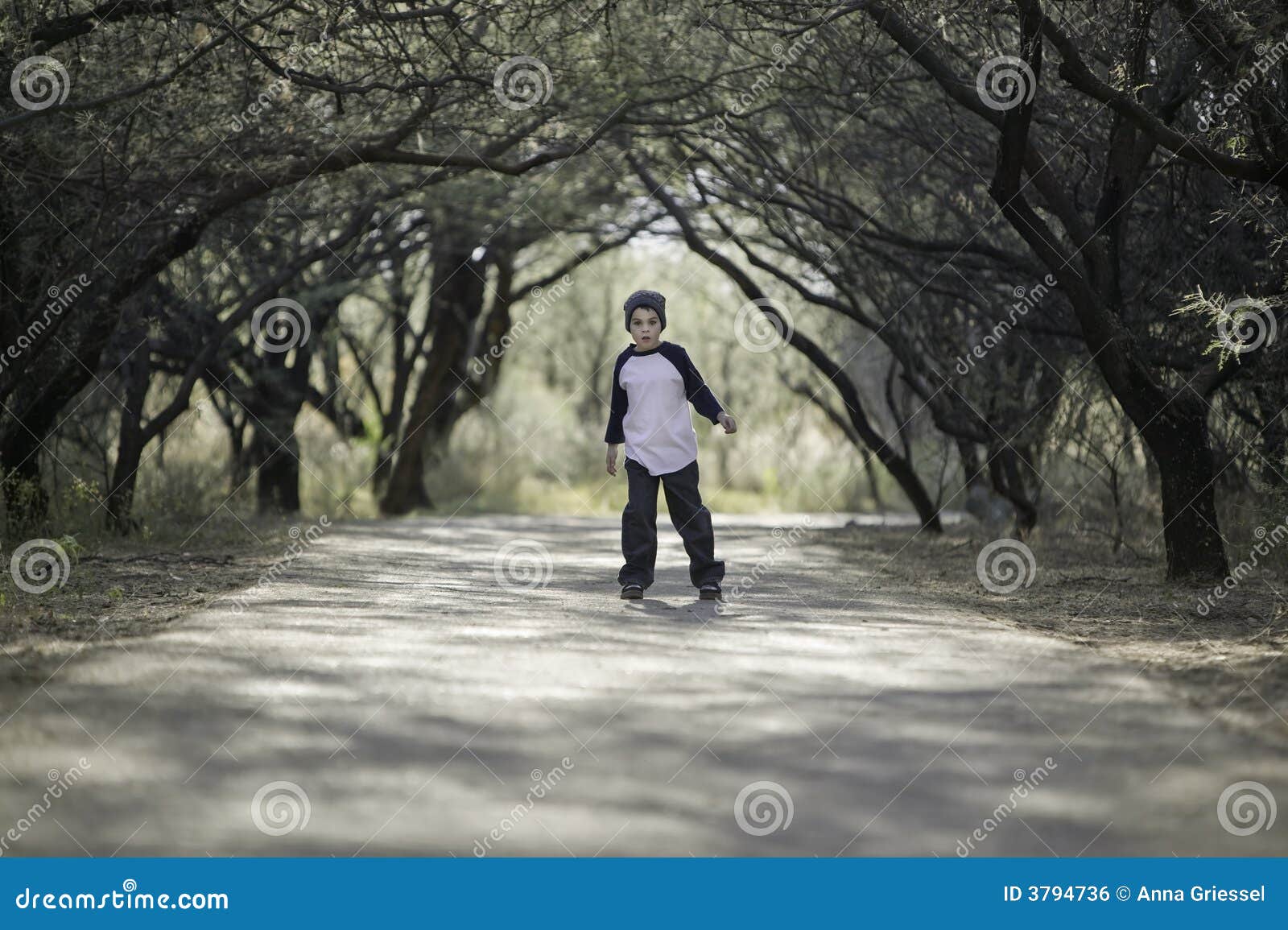 Boy on a Path stock photo. Image of path, young, person - 3794736