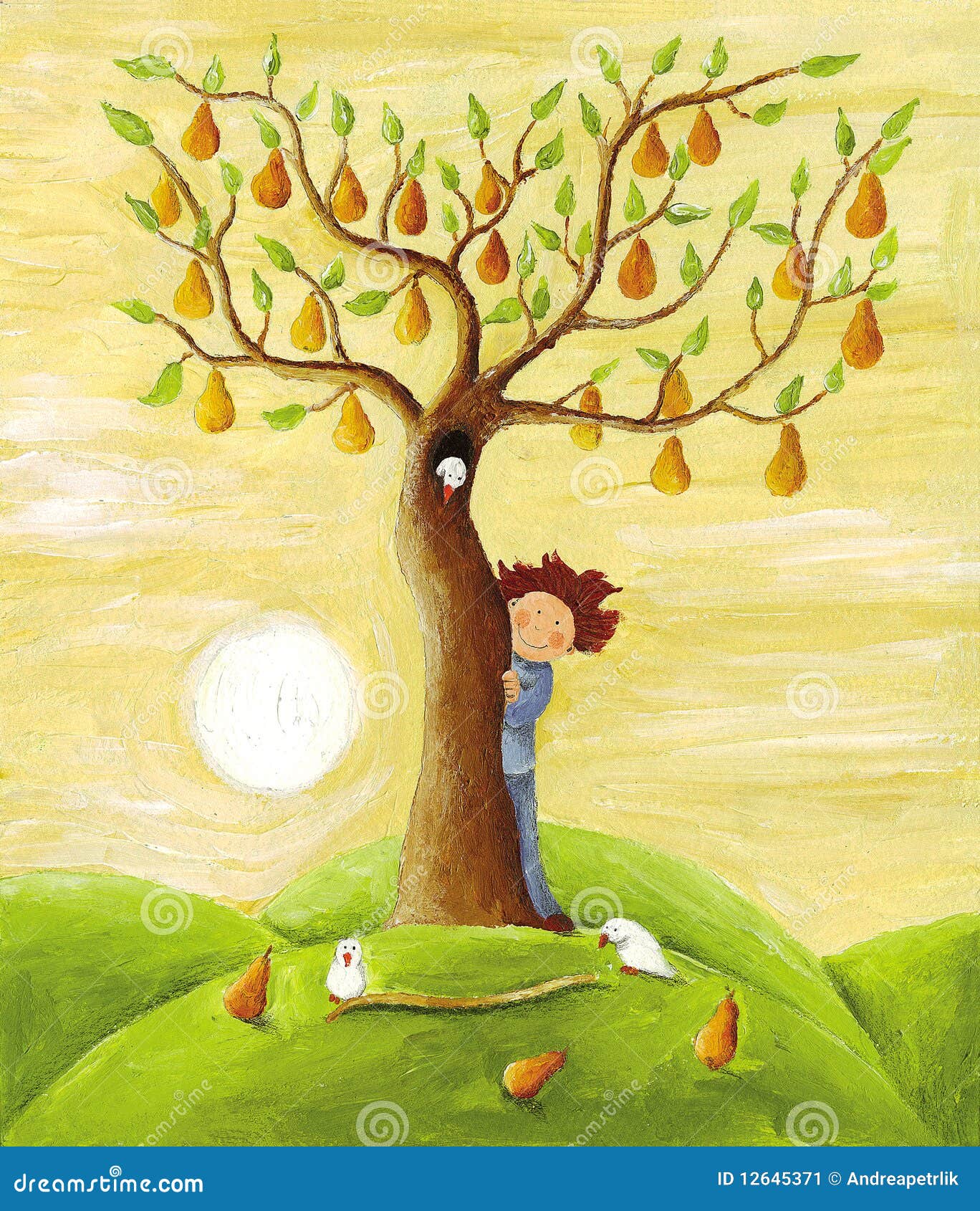 Pear Tree Drawing