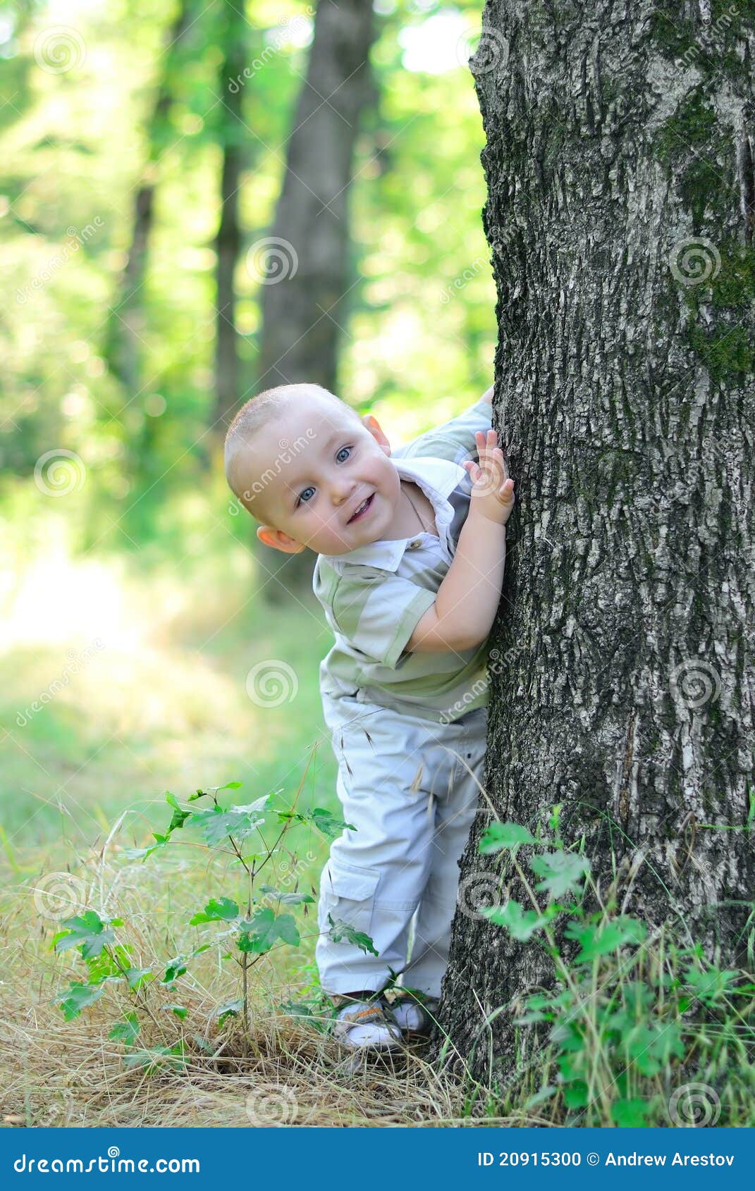 Boy Peeks from Behind a Tree in the Forest Stock Photo - Image of look ...