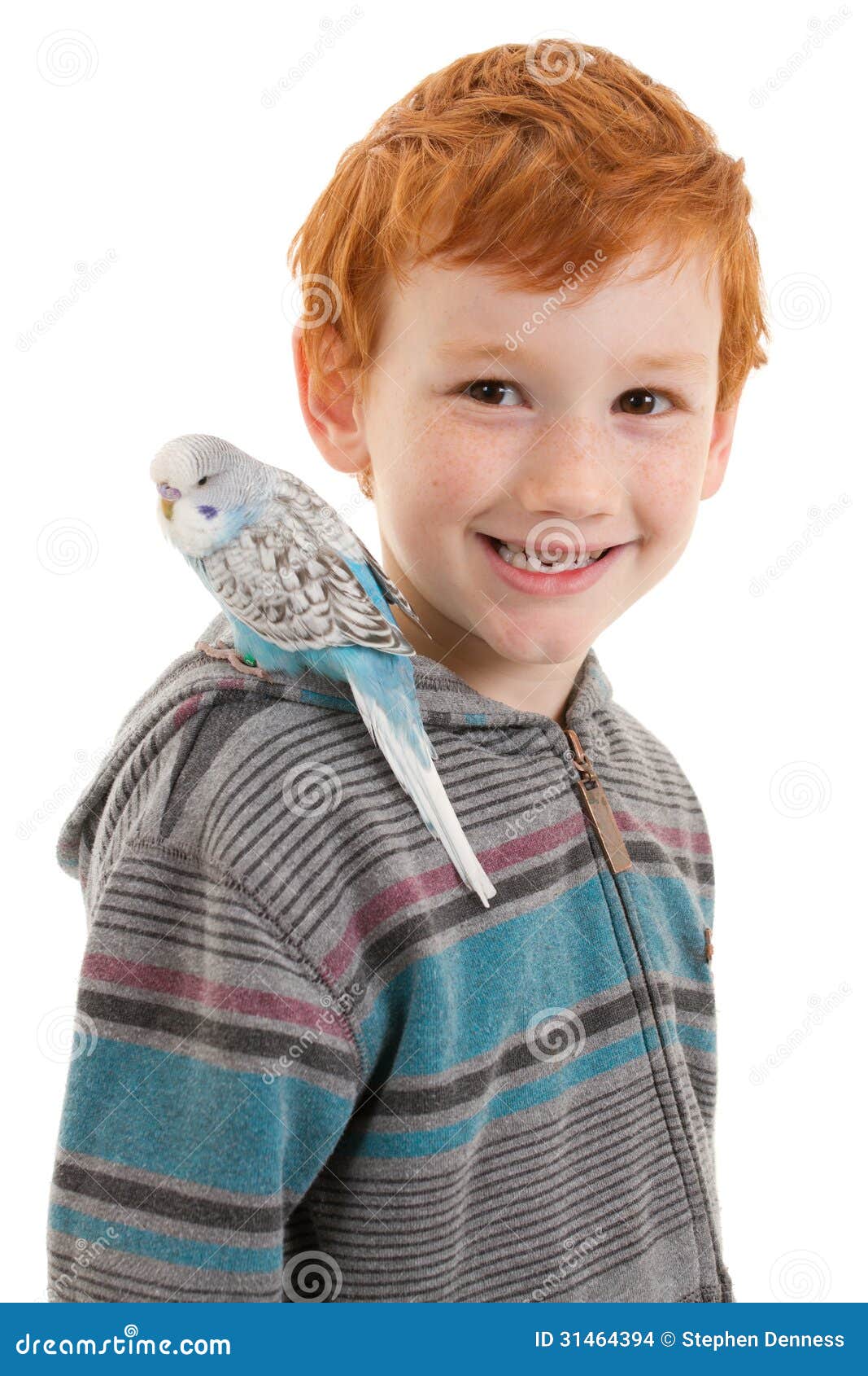 Boy With Pet Bird Budgerigar On Shoulder Royalty-Free Stock Image ...