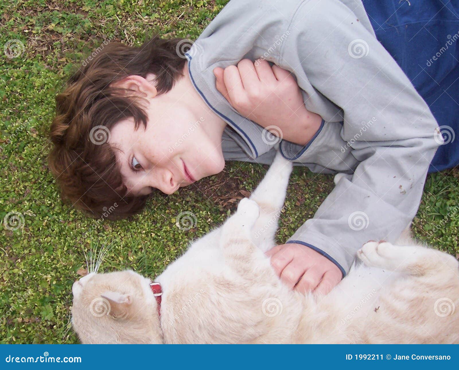 Boy and pet cat at play stock image. Image of affection - 1992211