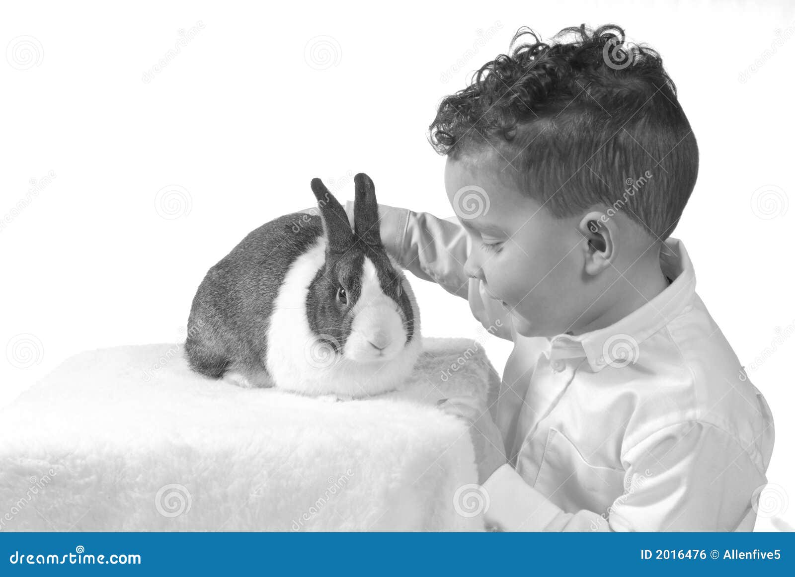 Boy with Pet Rabbit stock photo. Image of indoor, dutch - 2016476