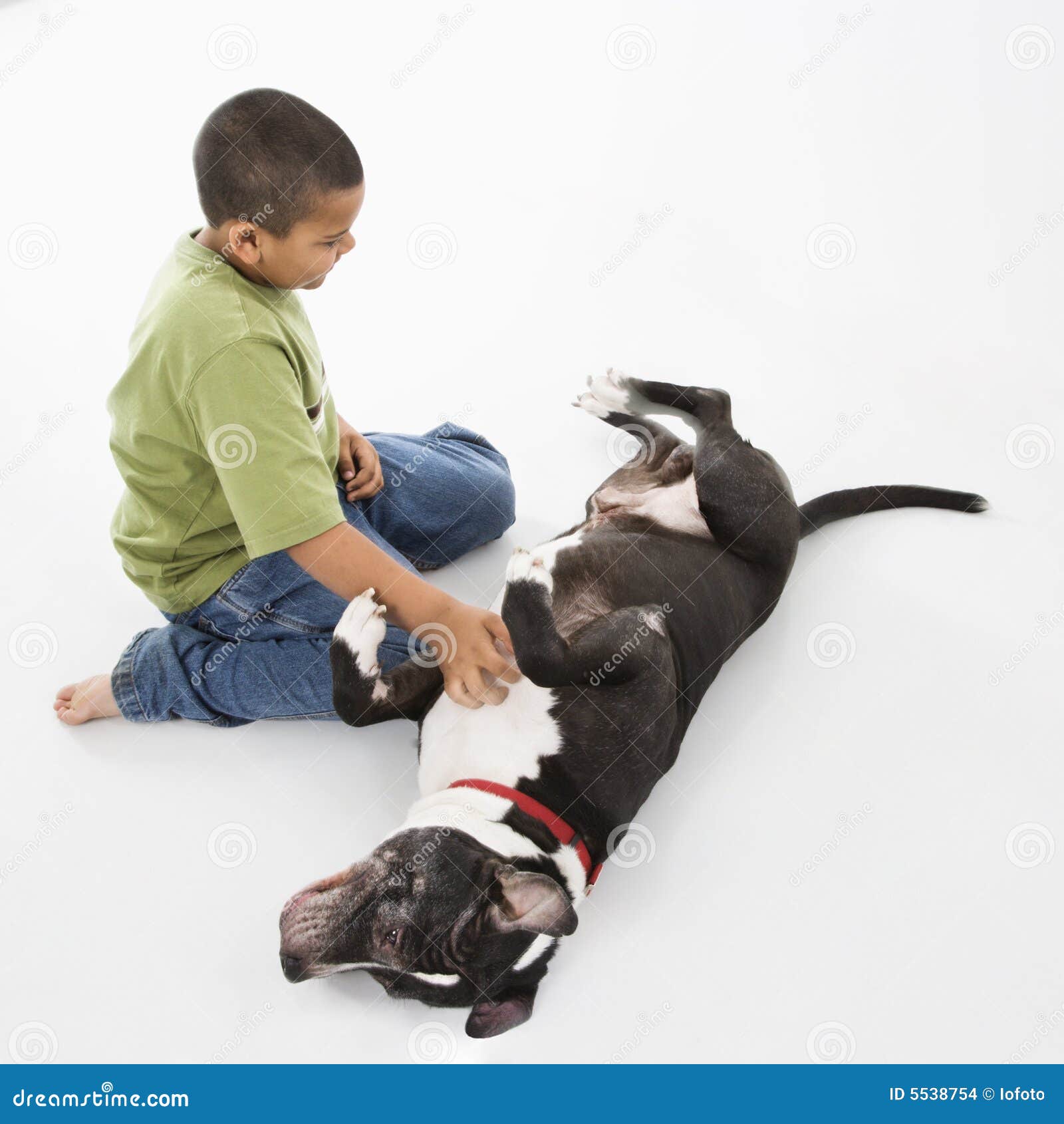 Boy petting pet dog stock photo. Image of petting, childhood - 5538754