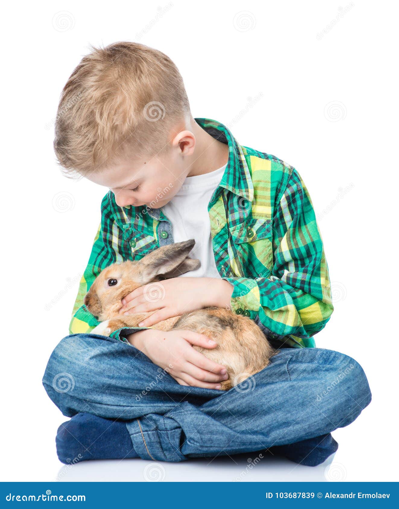 Boy Petting a Rabbit. Isolated on White Background Stock Image - Image ...
