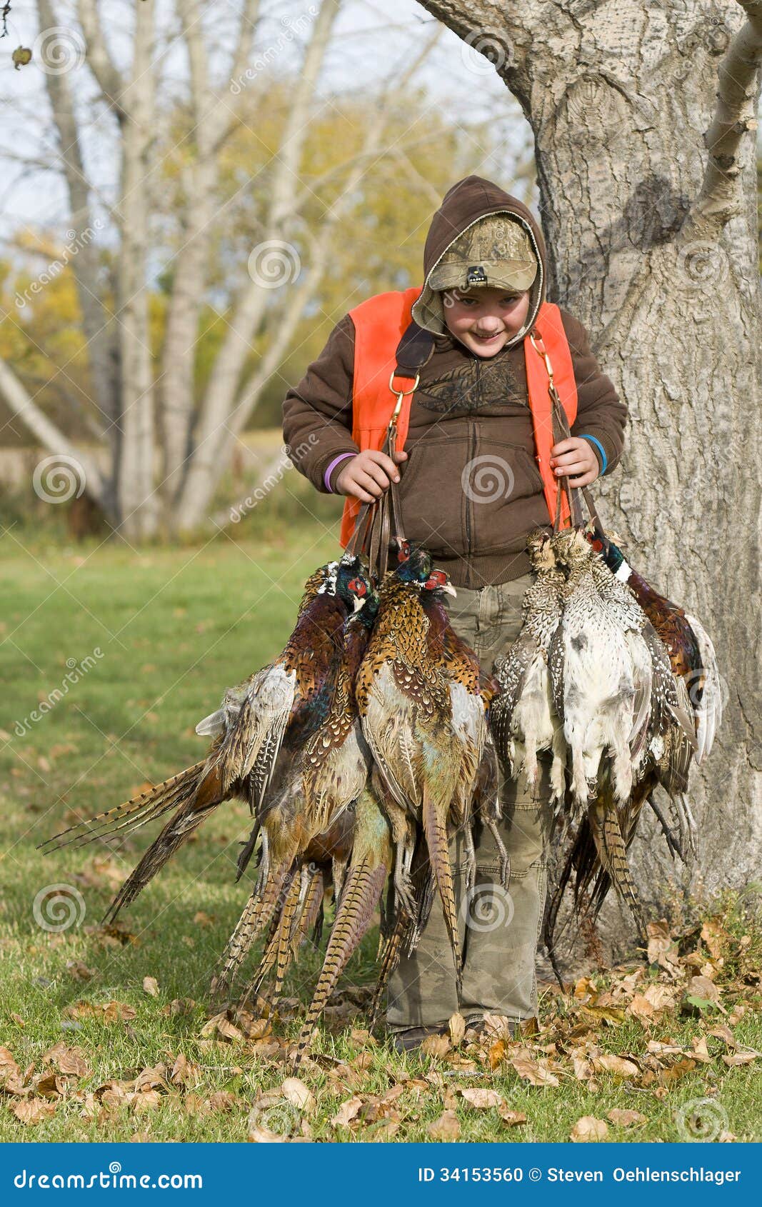 Boy Pheasant Hunting stock photo. Image of season, shooting - 34153560