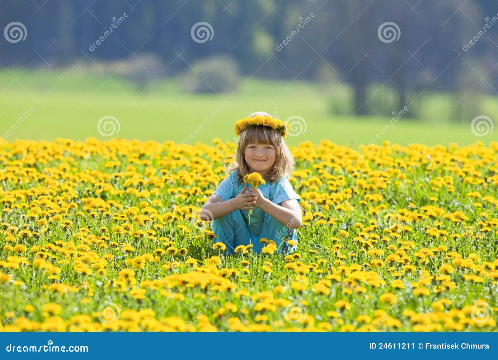 Boy picking dandelions stock image. Image of smiling - 24611211