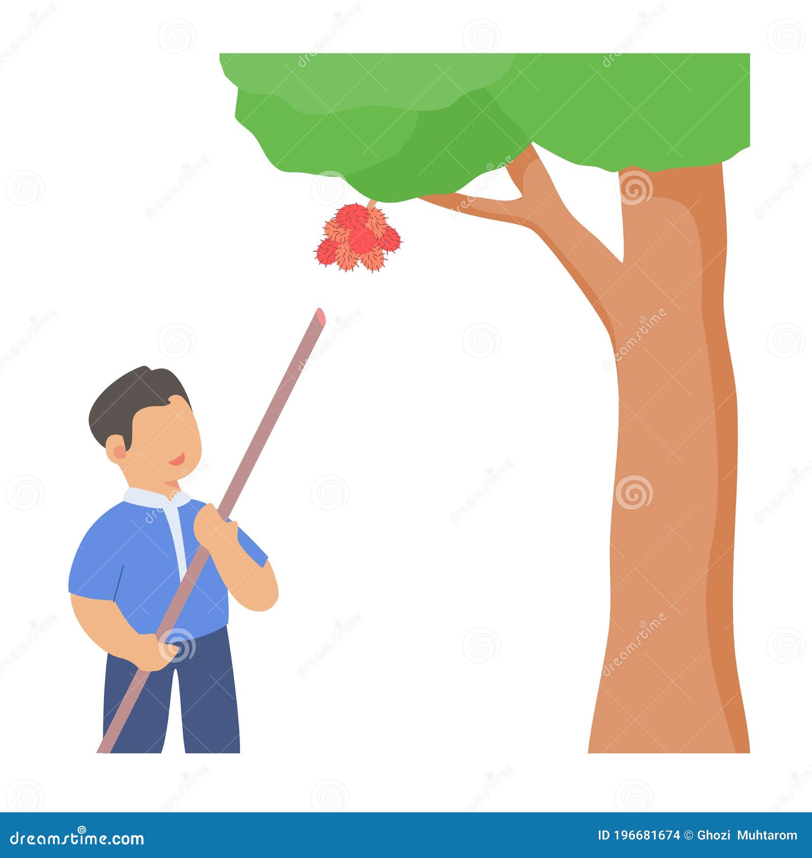 Rambutan On Tree With White Background. Isolated Doodle Hand Drawing ...