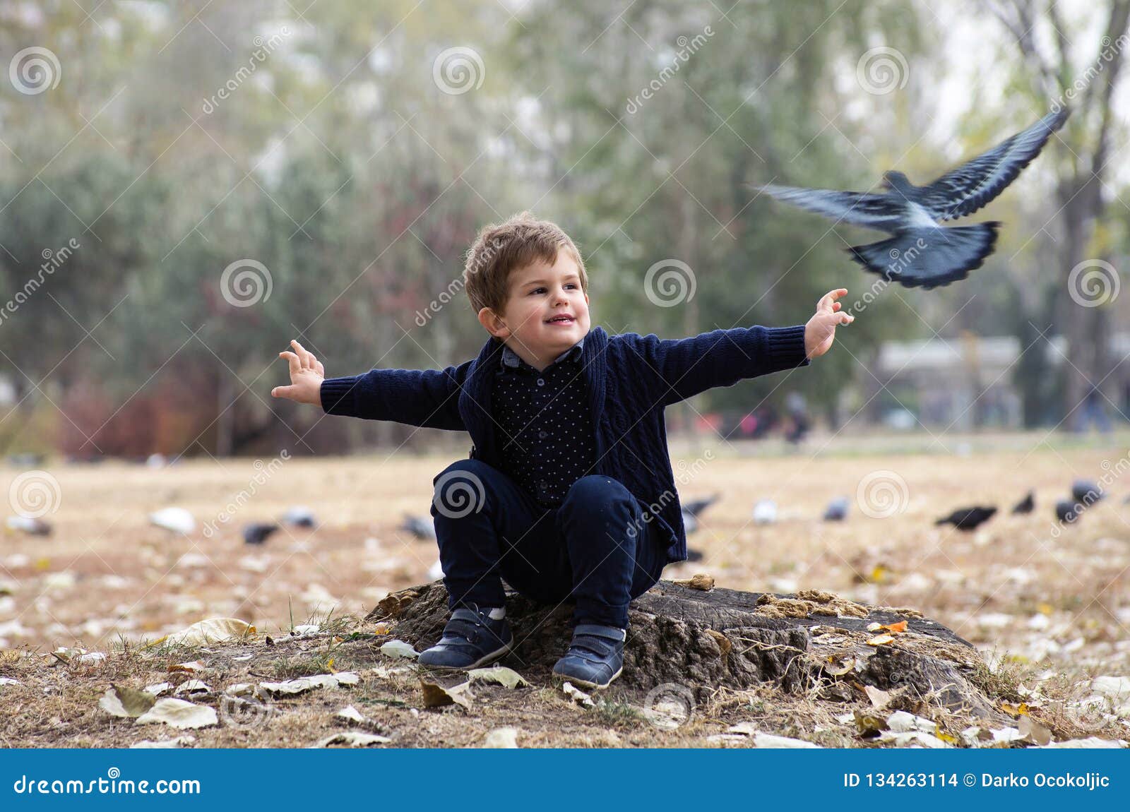 Boy with pigeon stock photo. Image of nature, lamps - 134263114