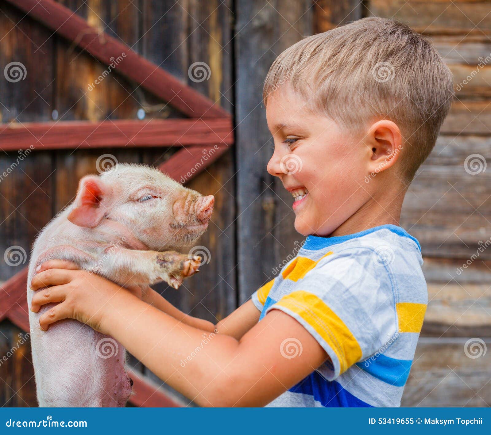 Boy with piglet stock image. Image of friendship, feeling - 53419655