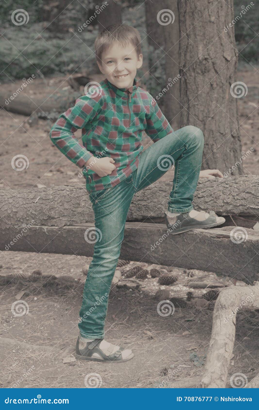 Boy in the Pine Forest with His Leg on the Log Stock Image - Image of ...