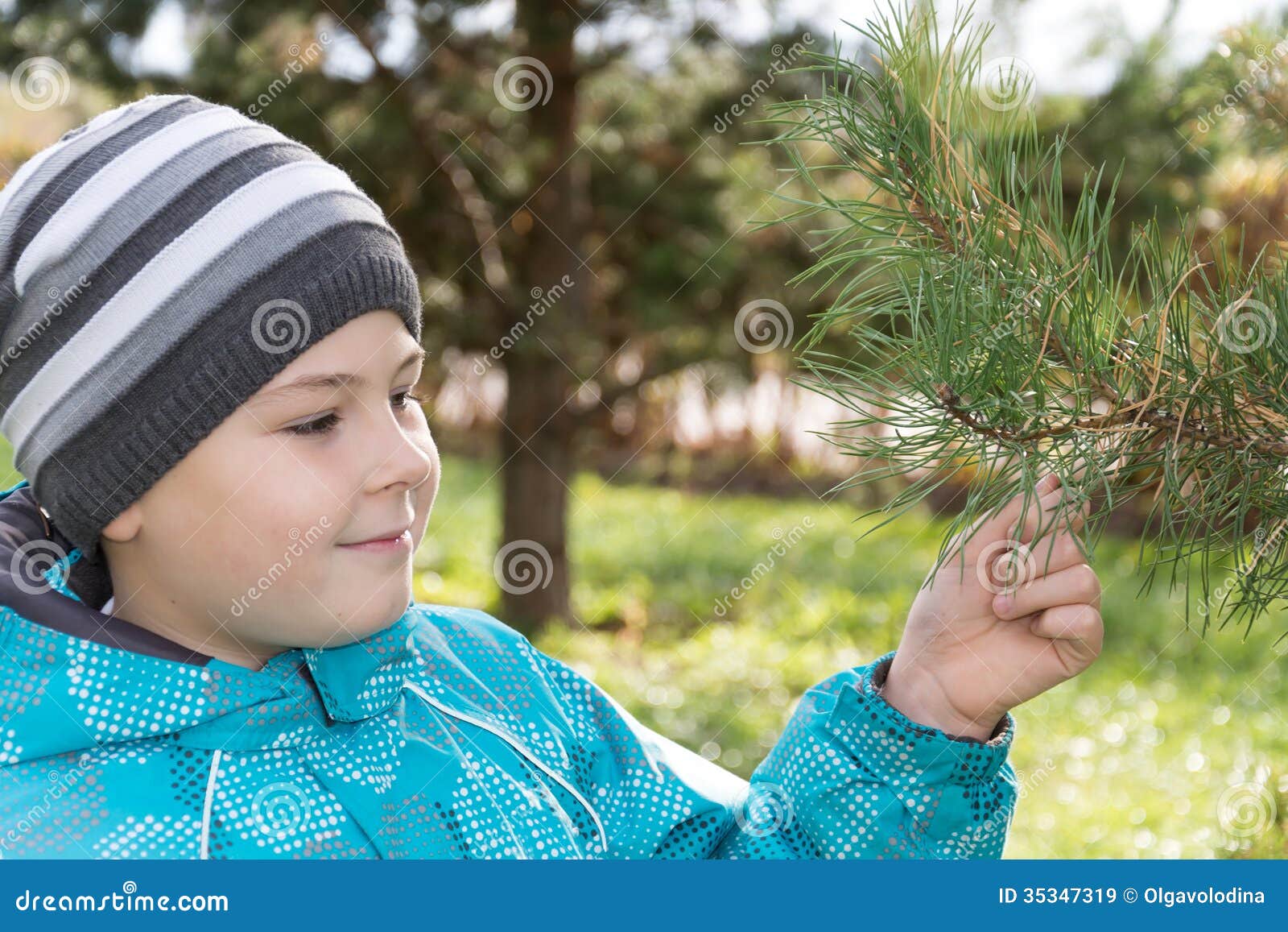 Boy in a pine park stock image. Image of high, forest - 35347319