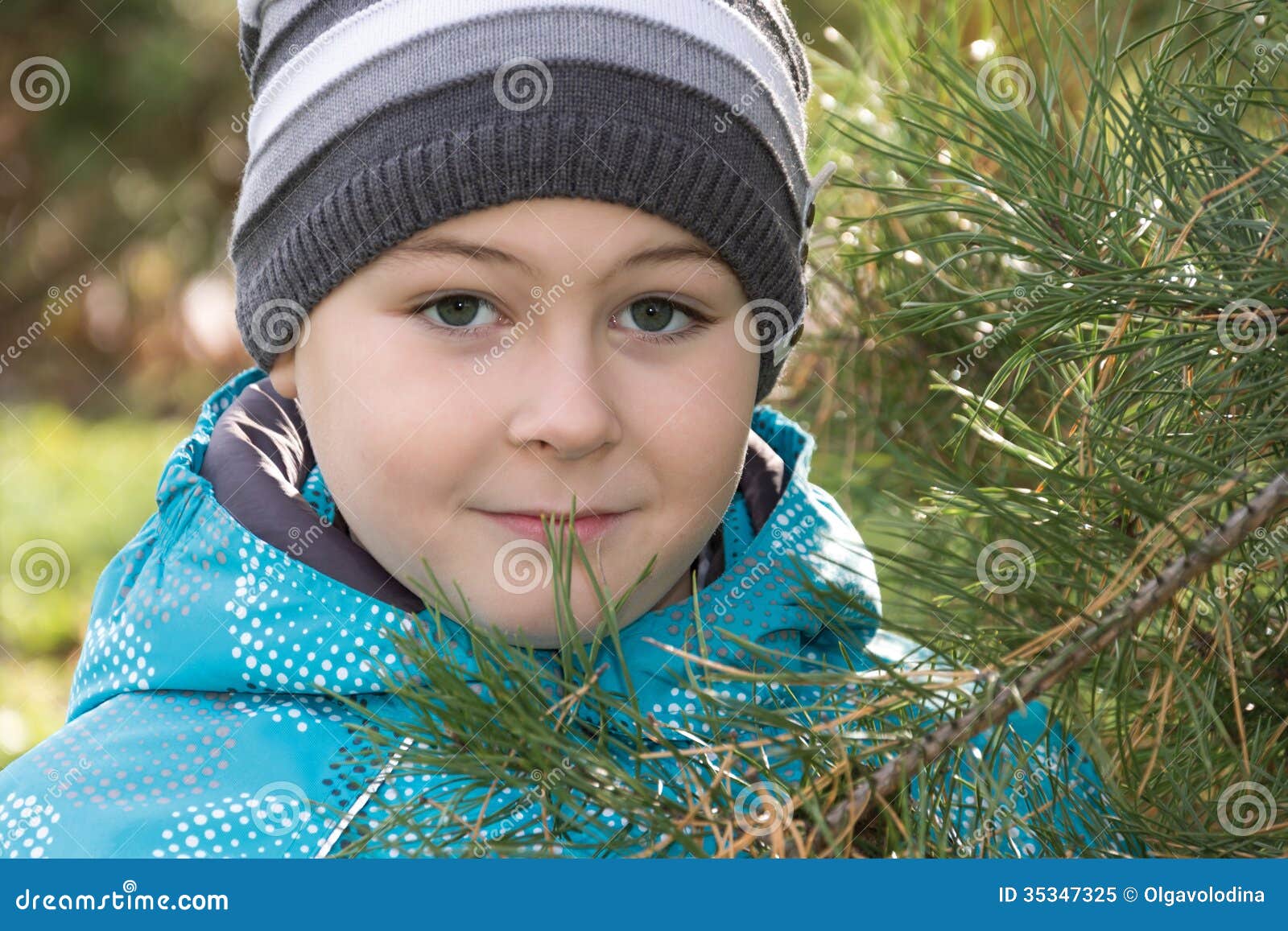 Boy in a pine park stock image. Image of wood, autumn - 35347325