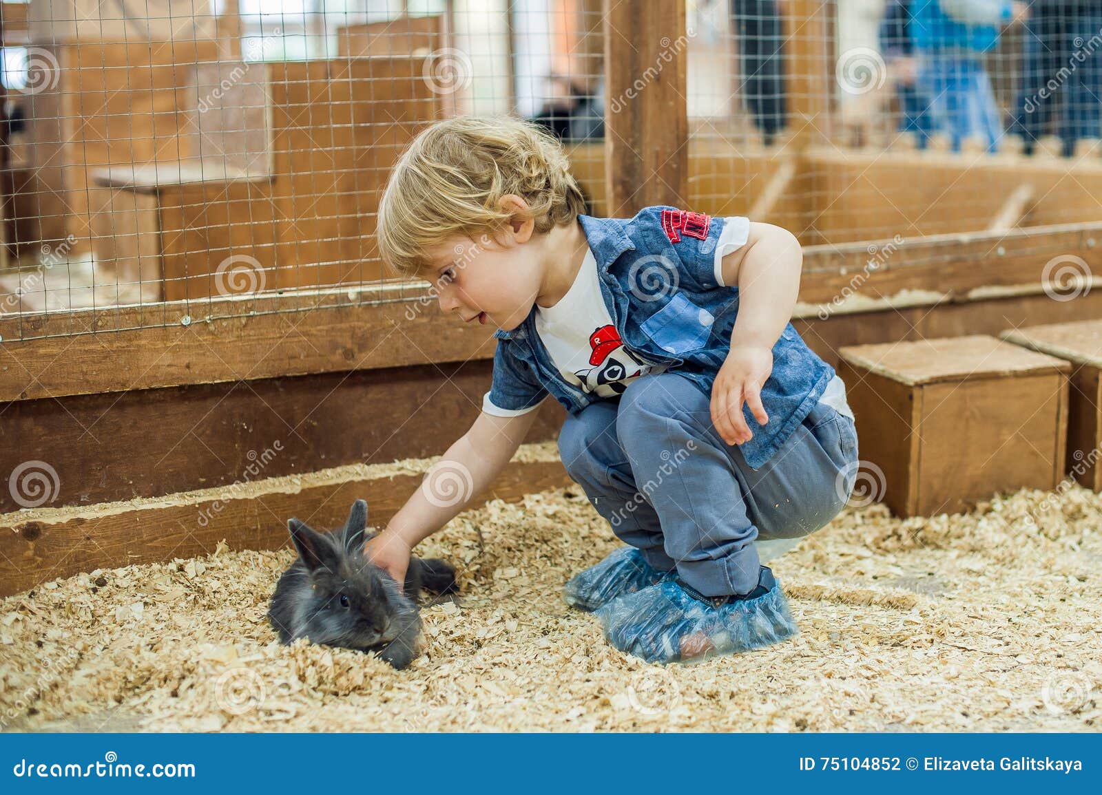 Boy play with the rabbits stock photo. Image of hare - 75104852