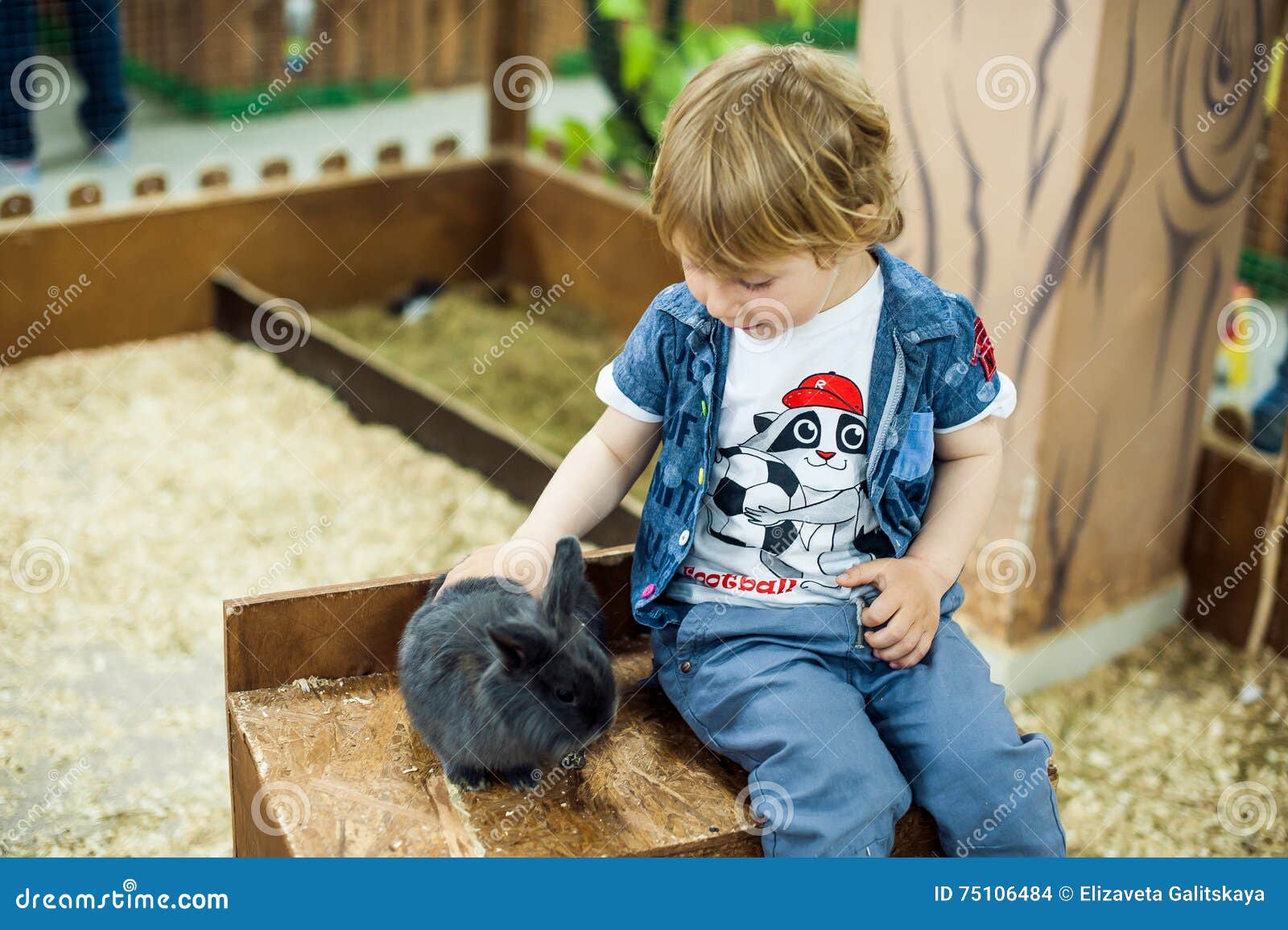Boy play with the rabbits stock photo. Image of holding - 75106484
