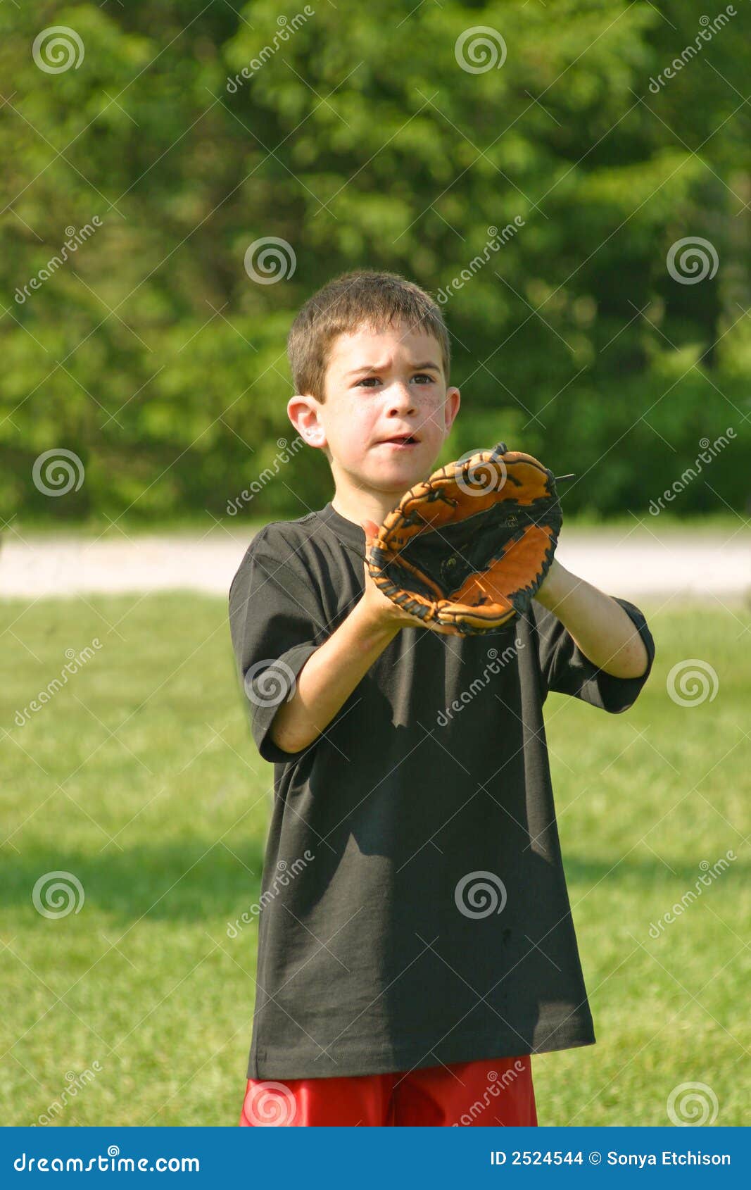 Boy Playing Catch stock photo. Image of baseball, players - 2524544