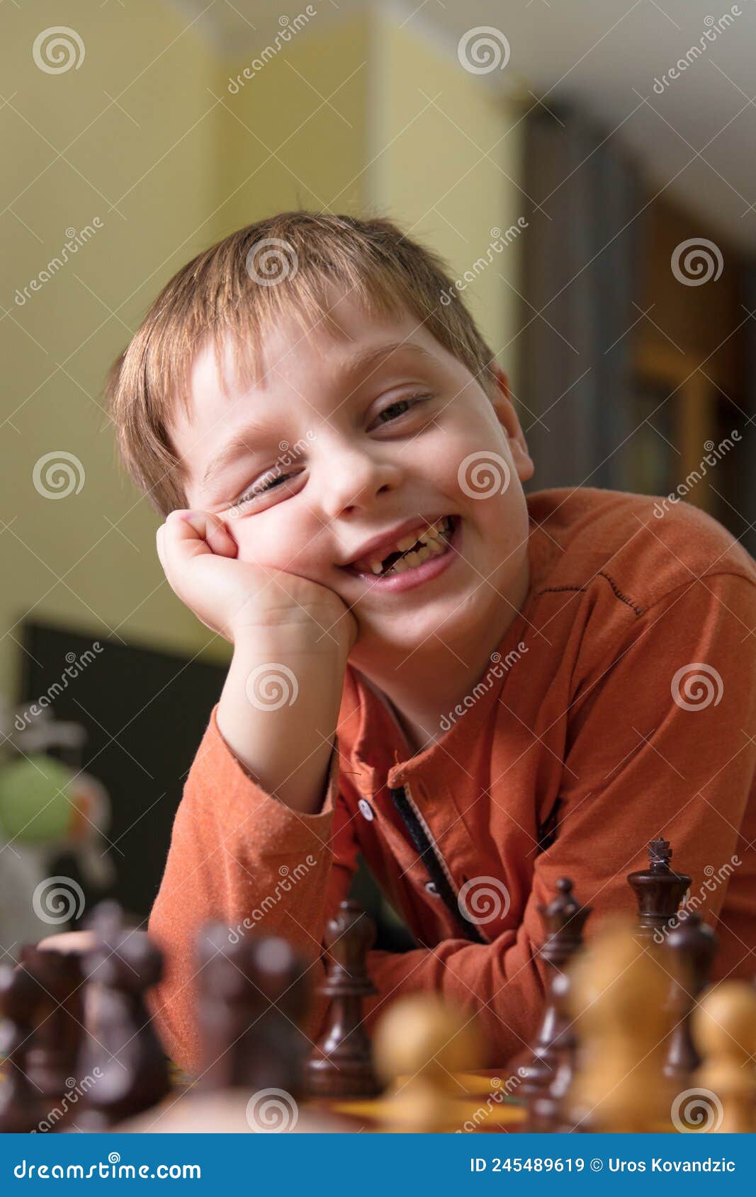 Boy playing chess at home stock image. Image of girl - 245489619