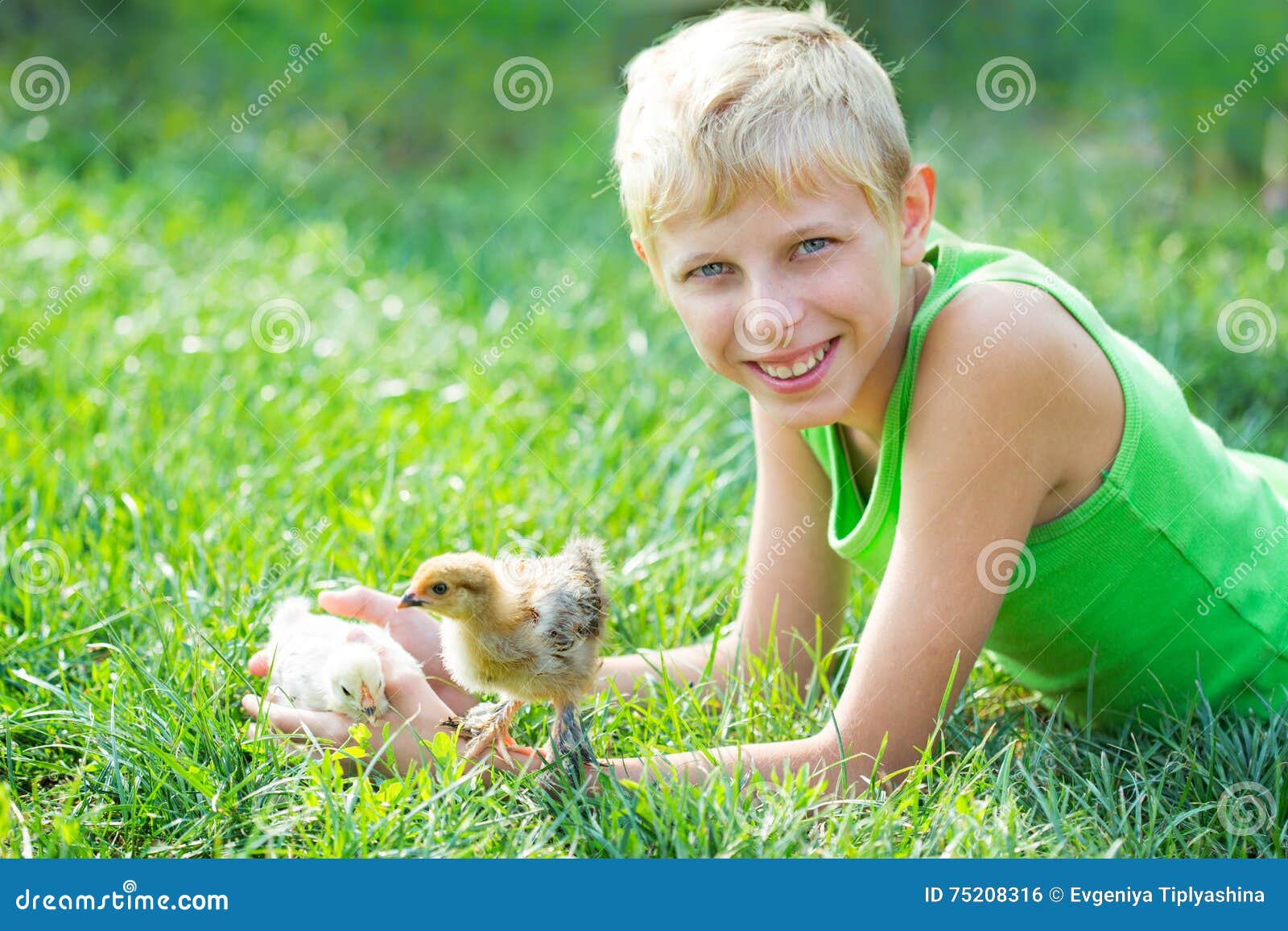 Boy Playing With Chickens Stock Image | CartoonDealer.com #50383615