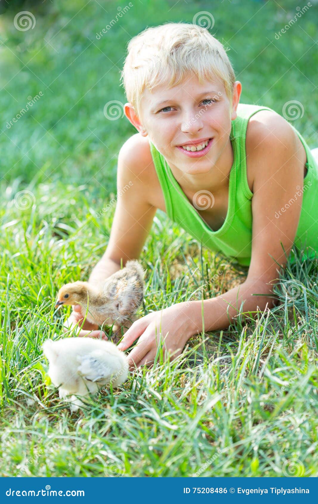 Boy Playing With Chickens Stock Image | CartoonDealer.com #50383615